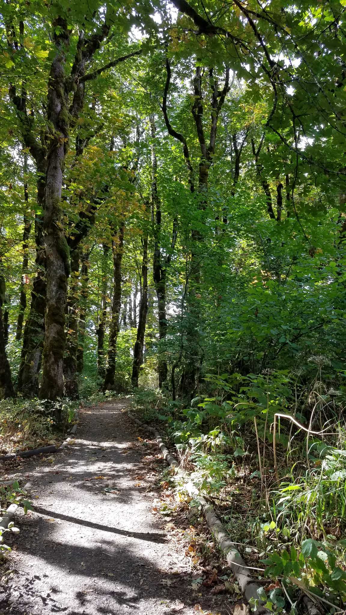 Cape Horn — Washington Trails Association