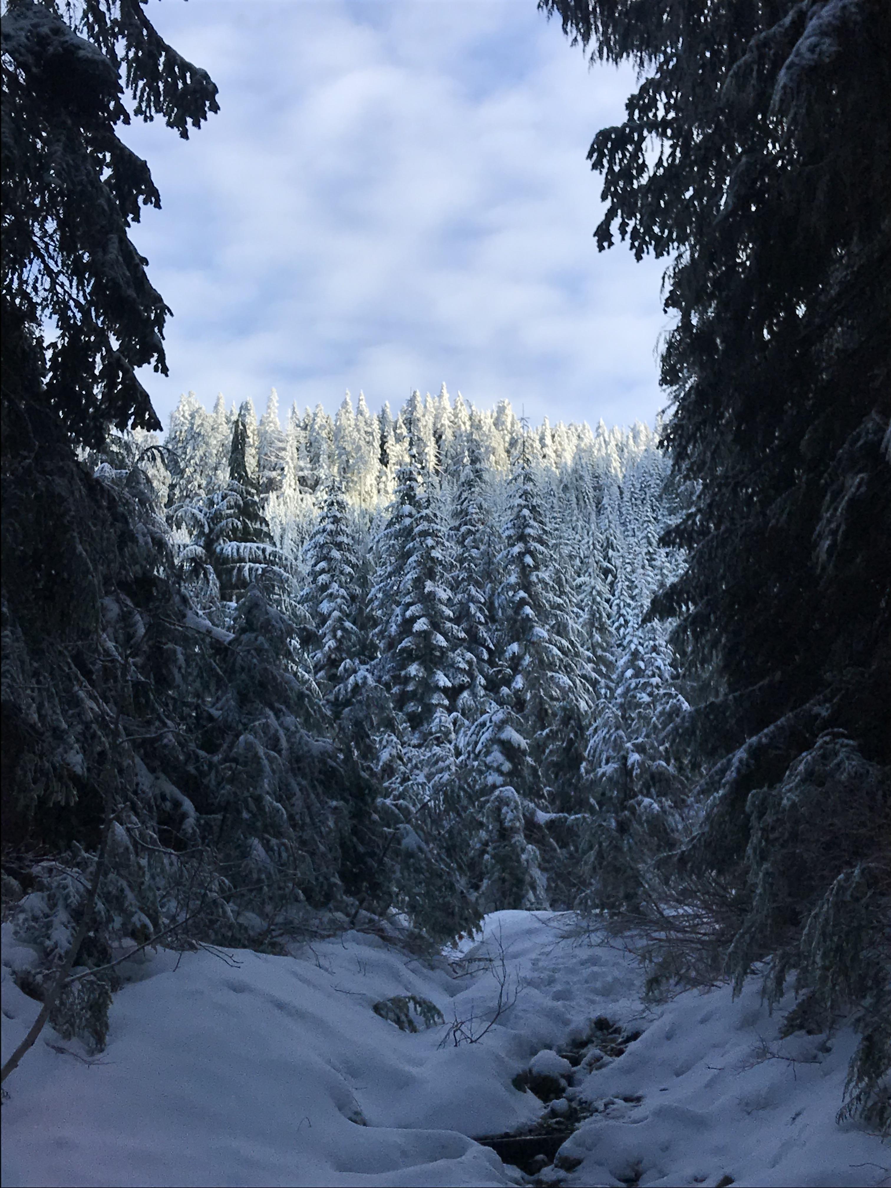 Mount Pilchuck - Winter — Washington Trails Association