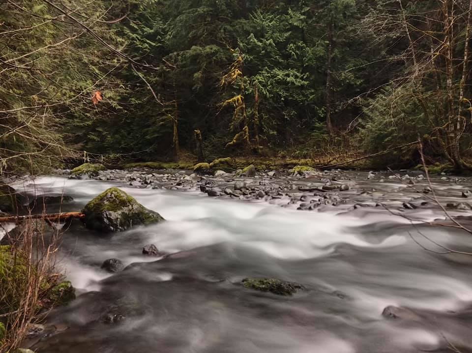 Lower Gray Wolf River — Washington Trails Association