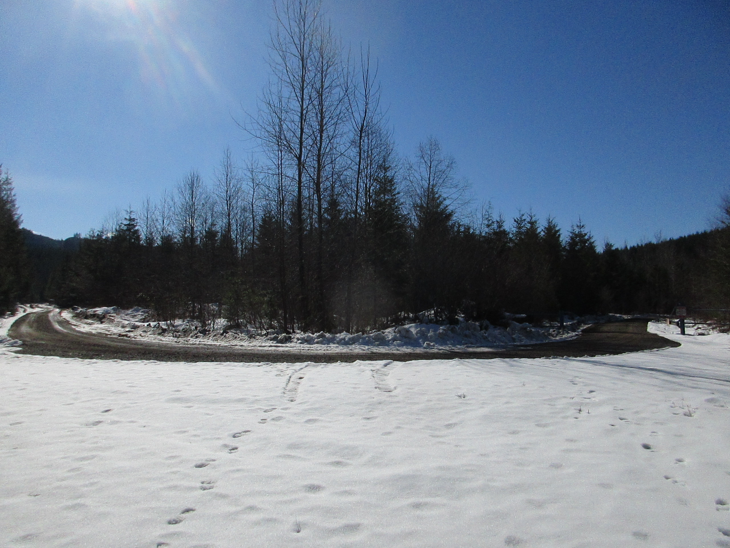 Marckworth Forest — Washington Trails Association