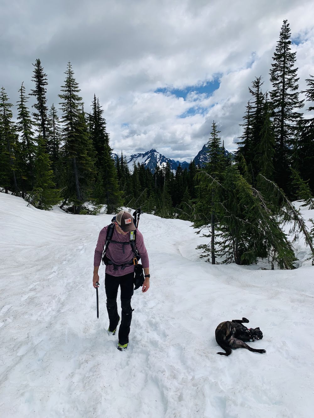Mount Dickerman — Washington Trails Association