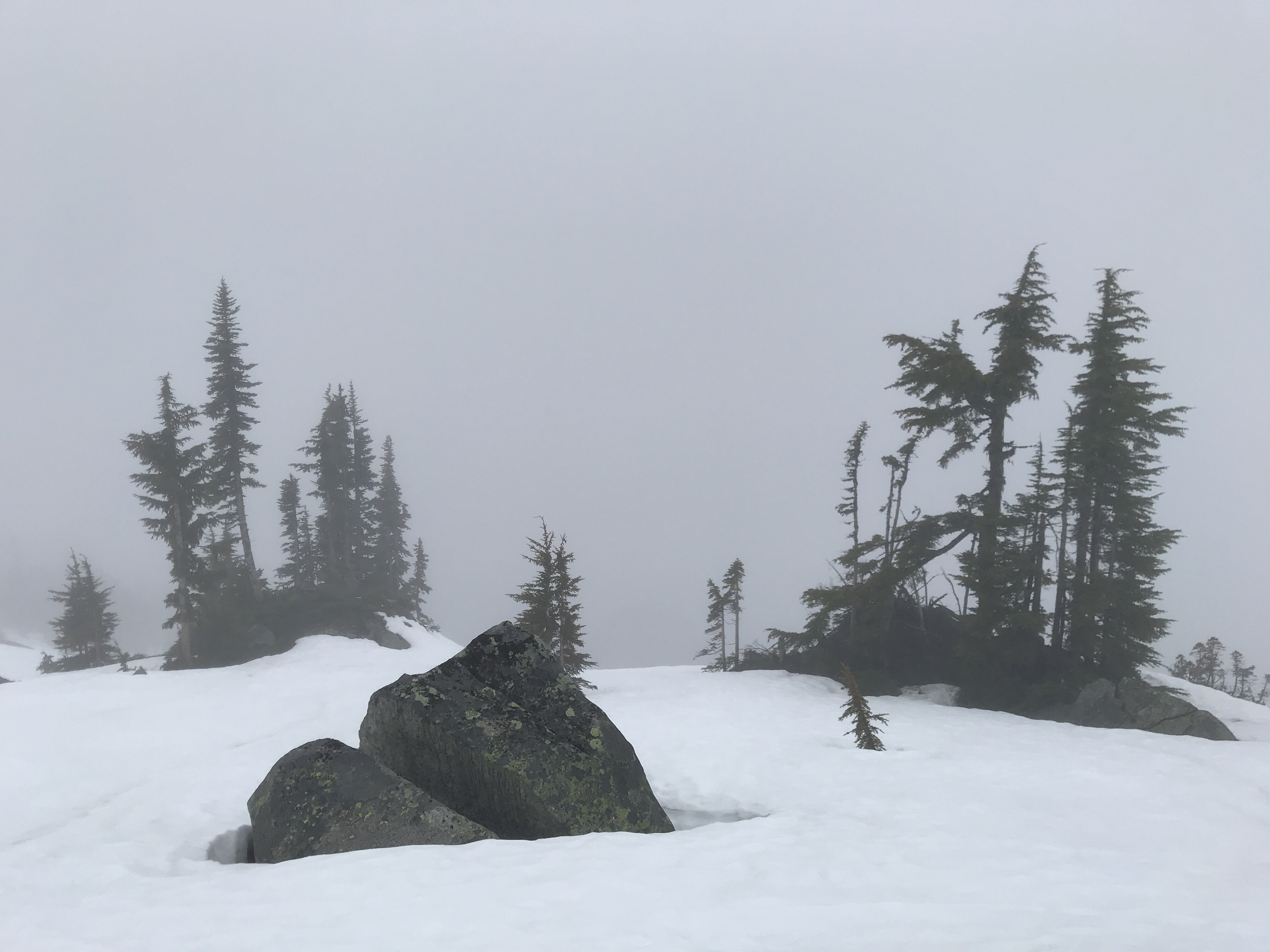 Hidden Lake Lookout — Washington Trails Association