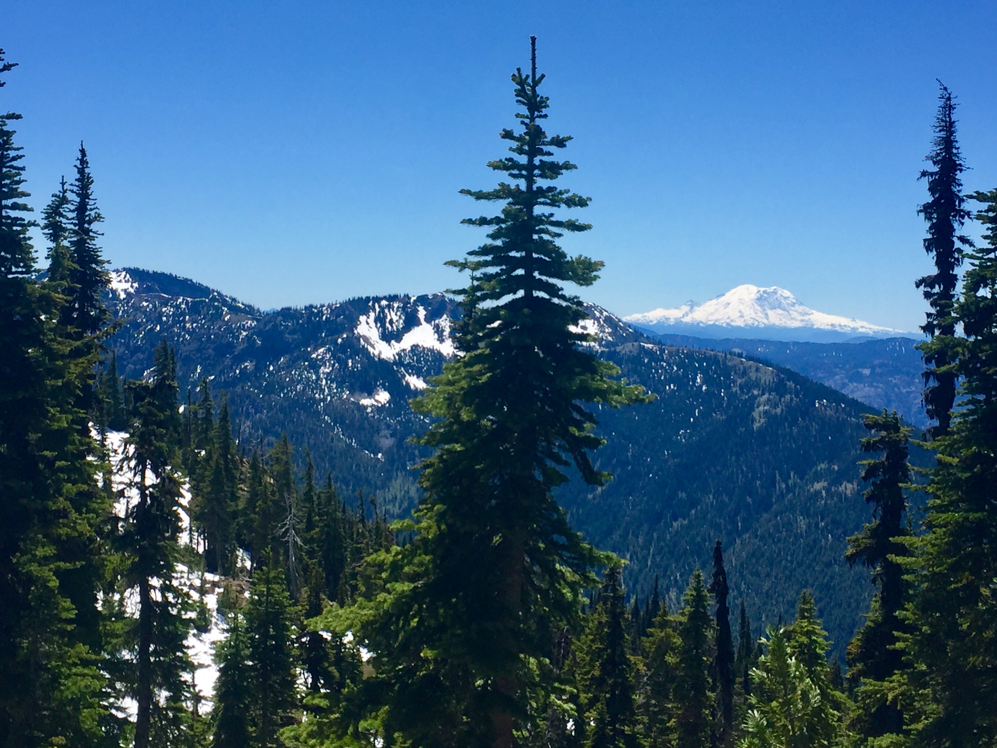Paddy-Go-Easy Pass — Washington Trails Association