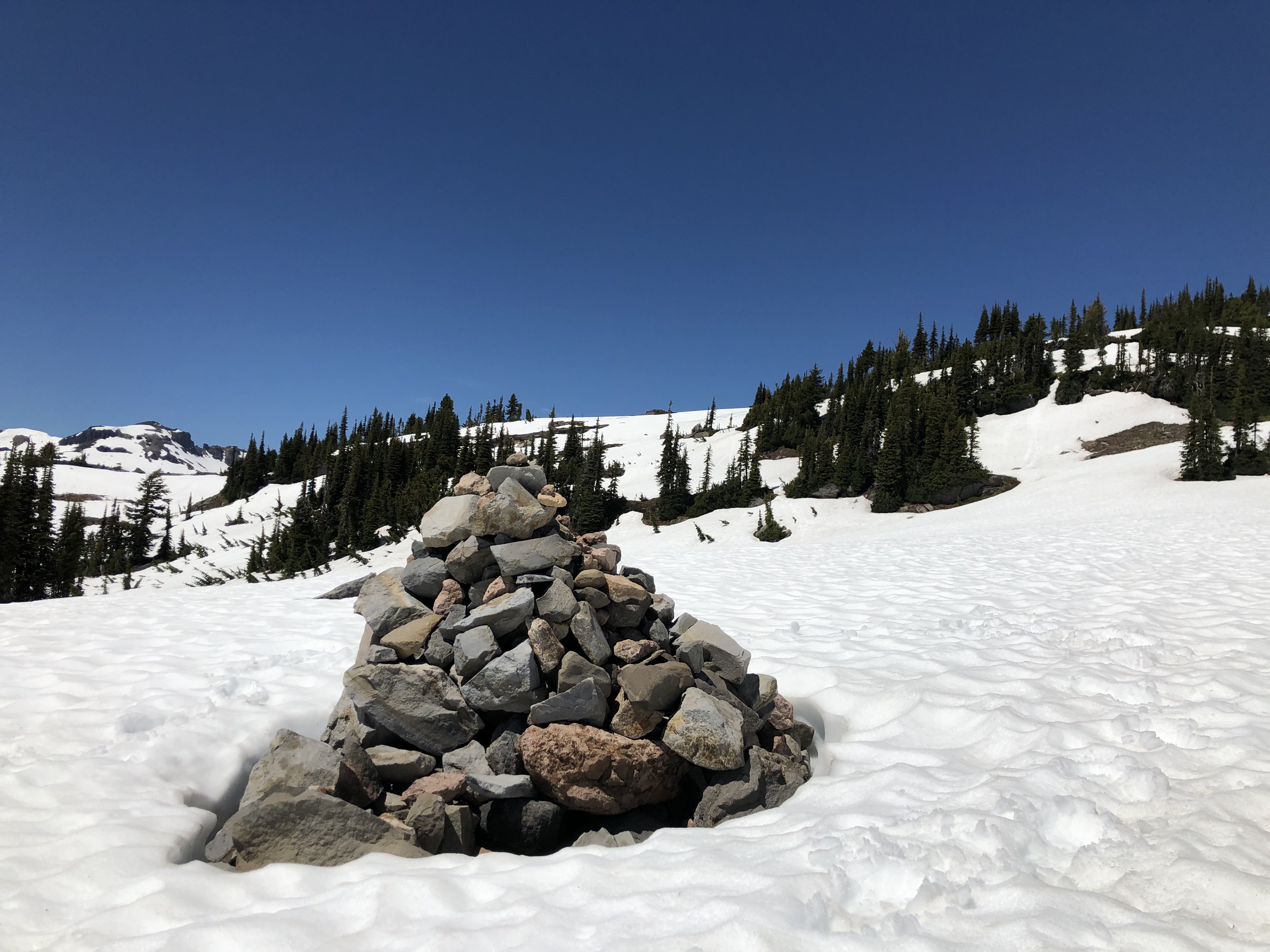 Gilbert Peak, Snowgrass Flat, Old Snowy Mountain - Elk Pass, Cispus ...
