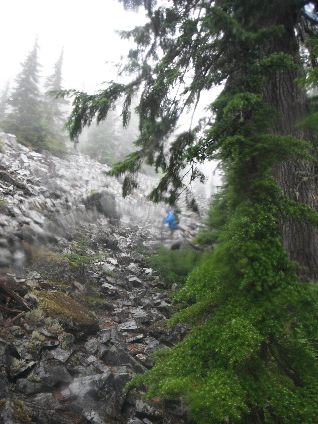 Green Ridge Lake — Washington Trails Association