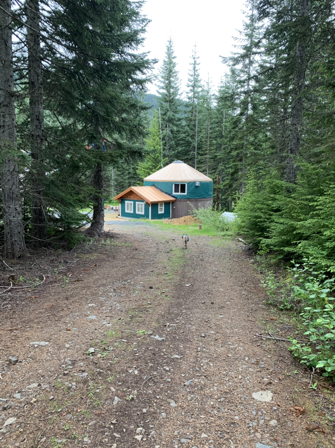 The Yurt — Washington Trails Association