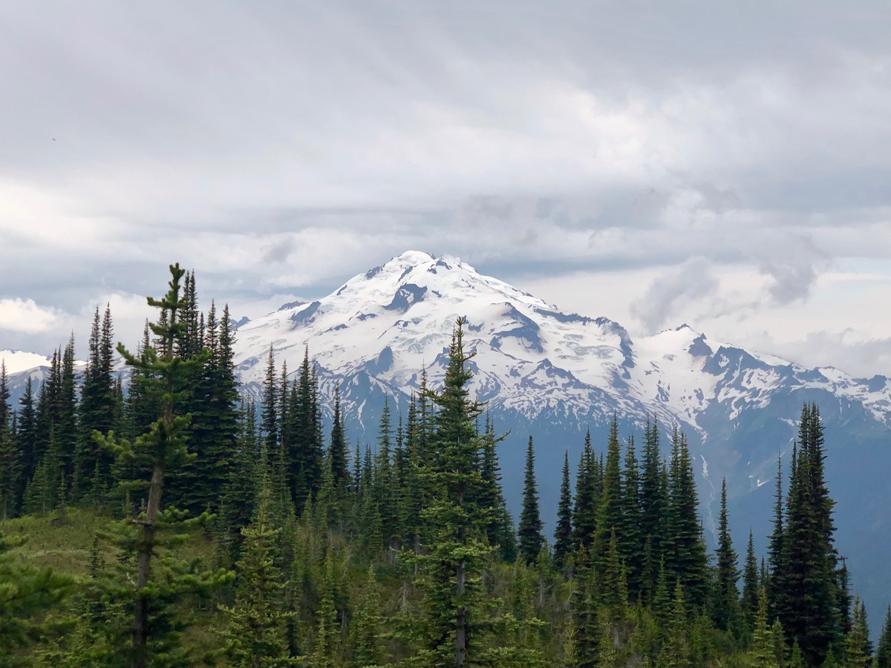 Suiattle River Trail, Image Lake via Miners Ridge — Washington Trails ...