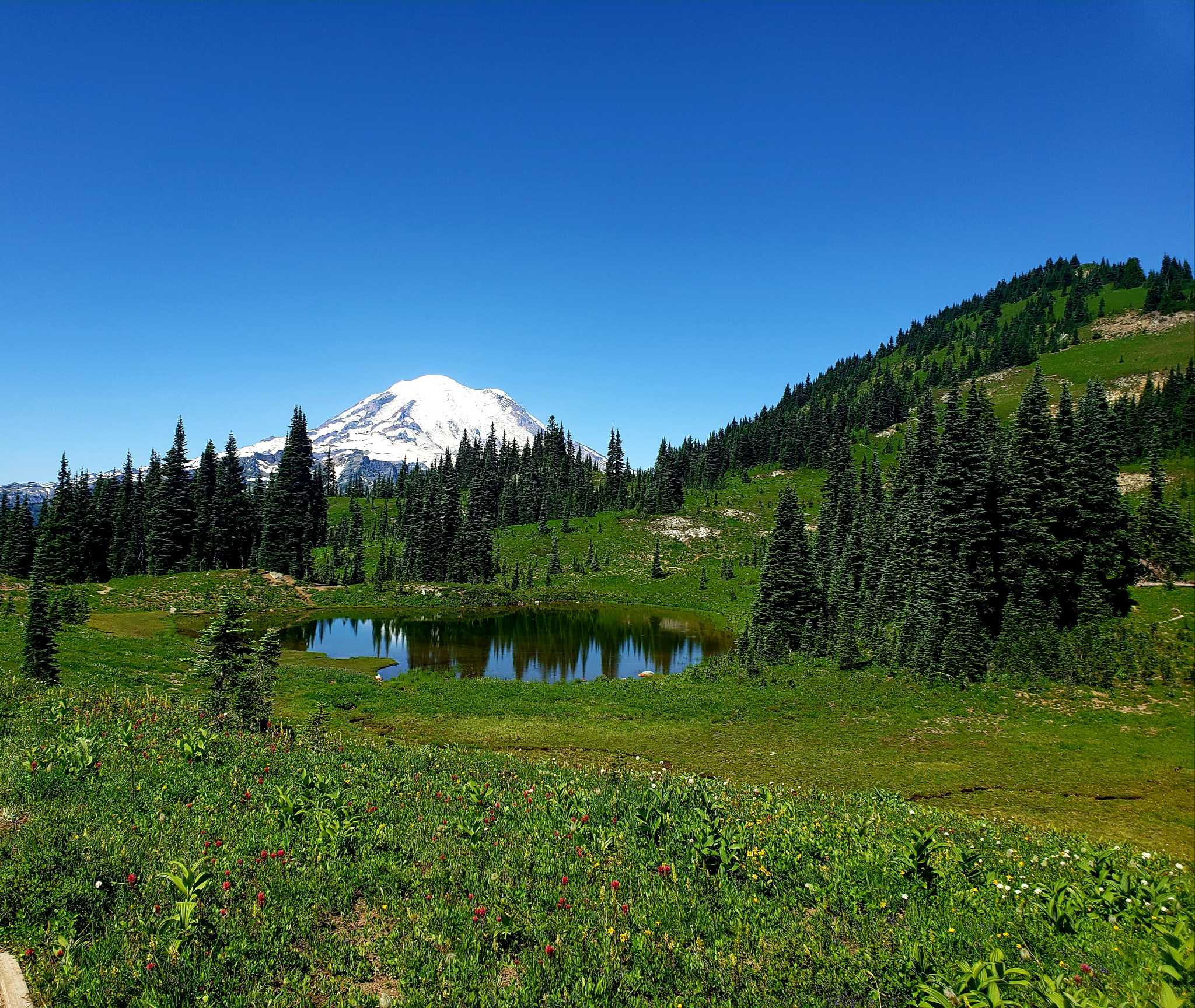 Naches Peak Loop — Washington Trails Association