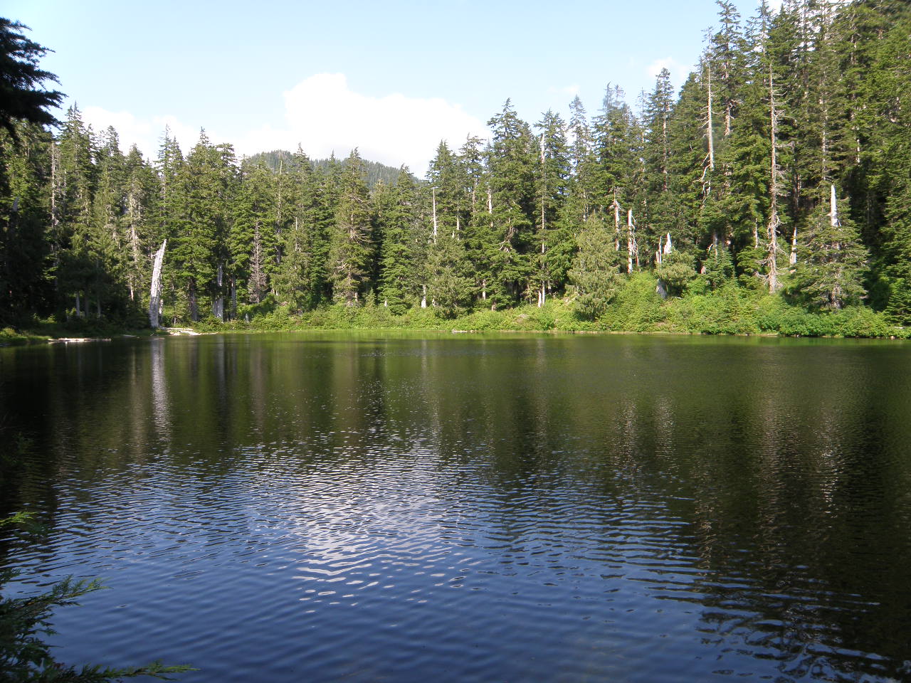 Falls Creek, Pass Lake — Washington Trails Association