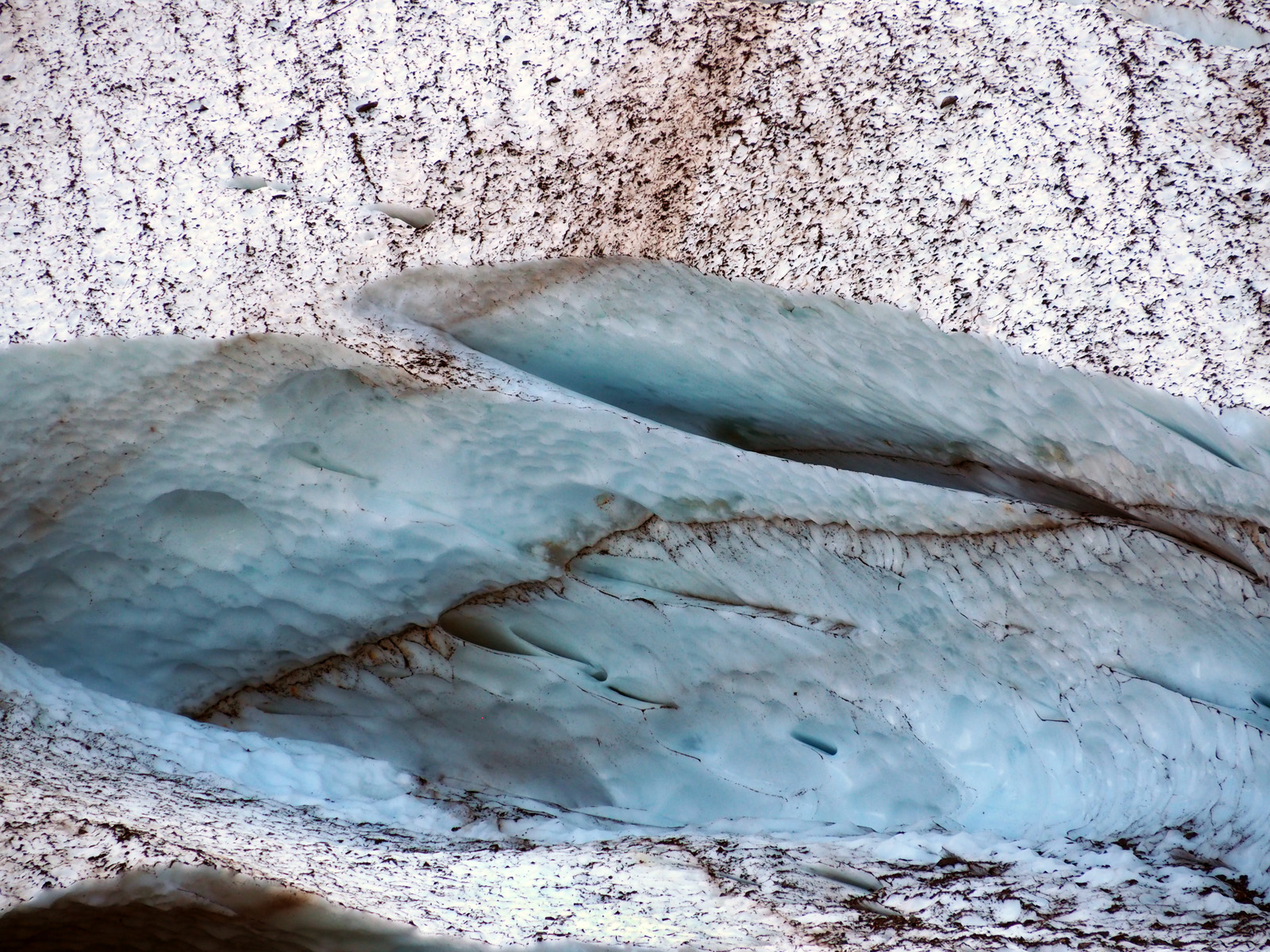 Big Four Ice Caves — Washington Trails Association
