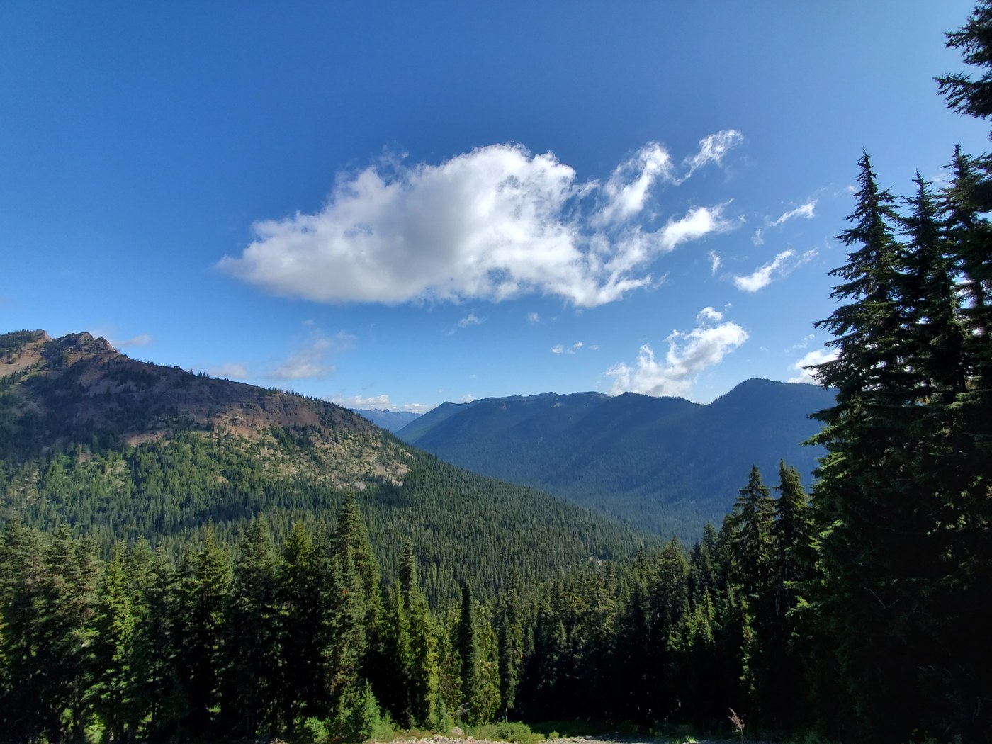 American Lake, Dewey Lake — Washington Trails Association