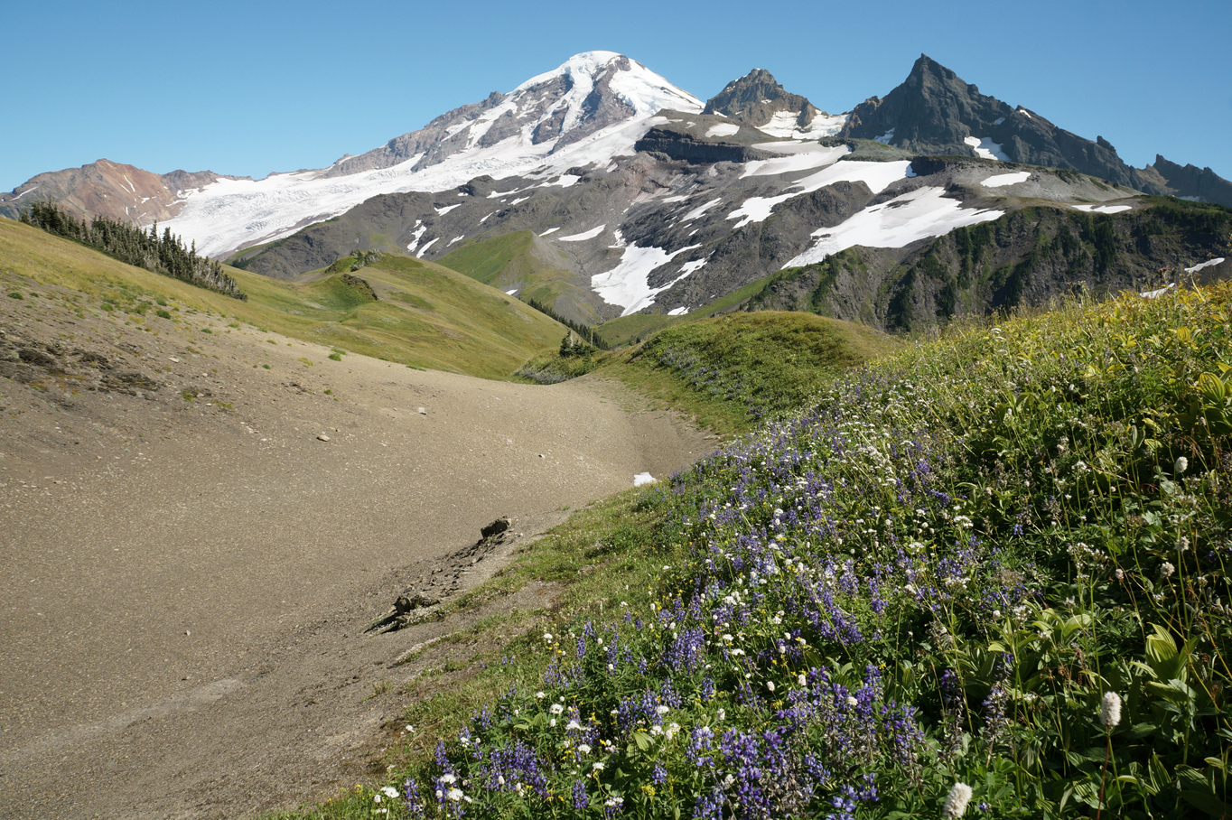 Grouse Ridge Trail — Washington Trails Association