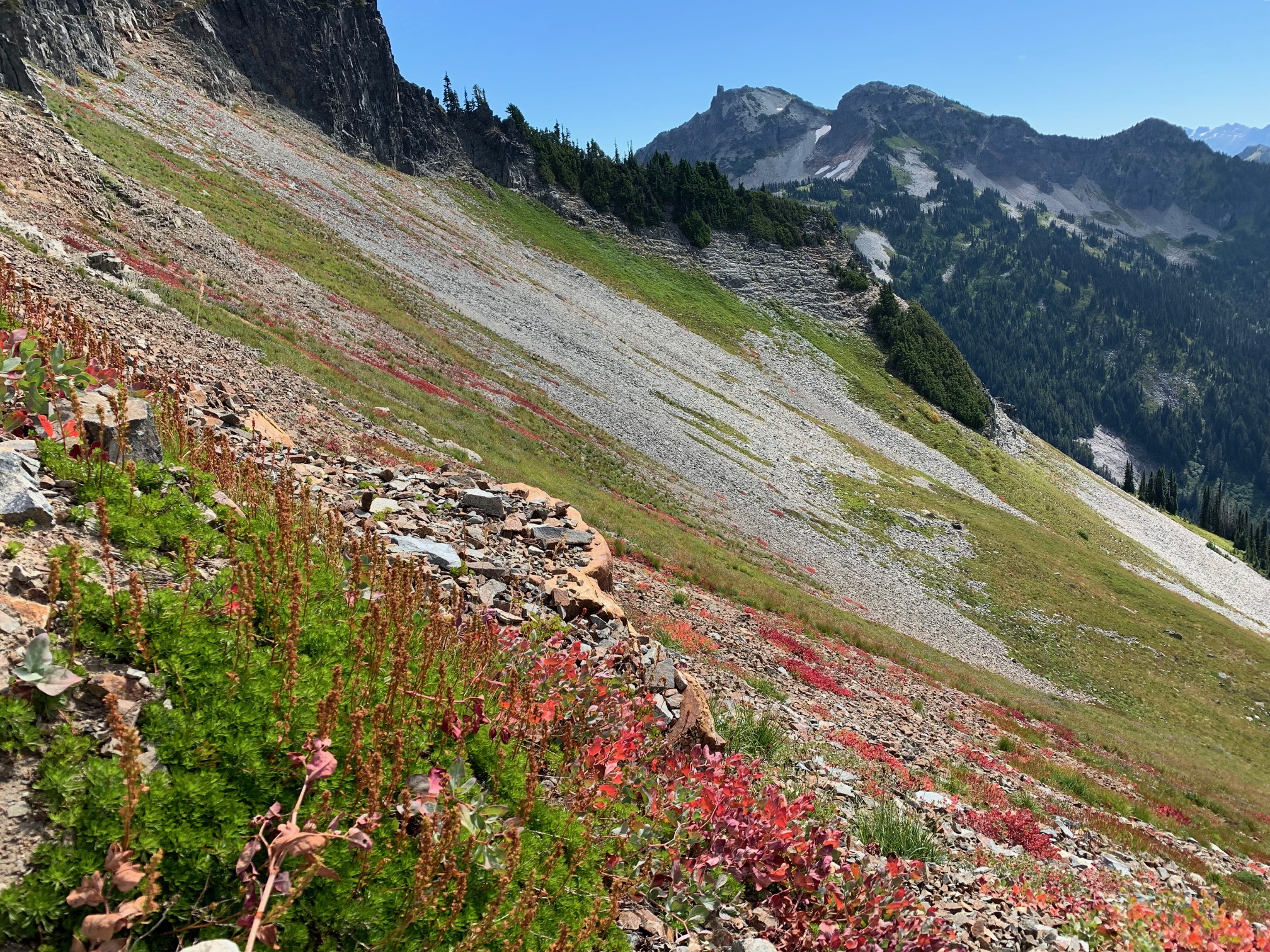 Foss Peak — Washington Trails Association