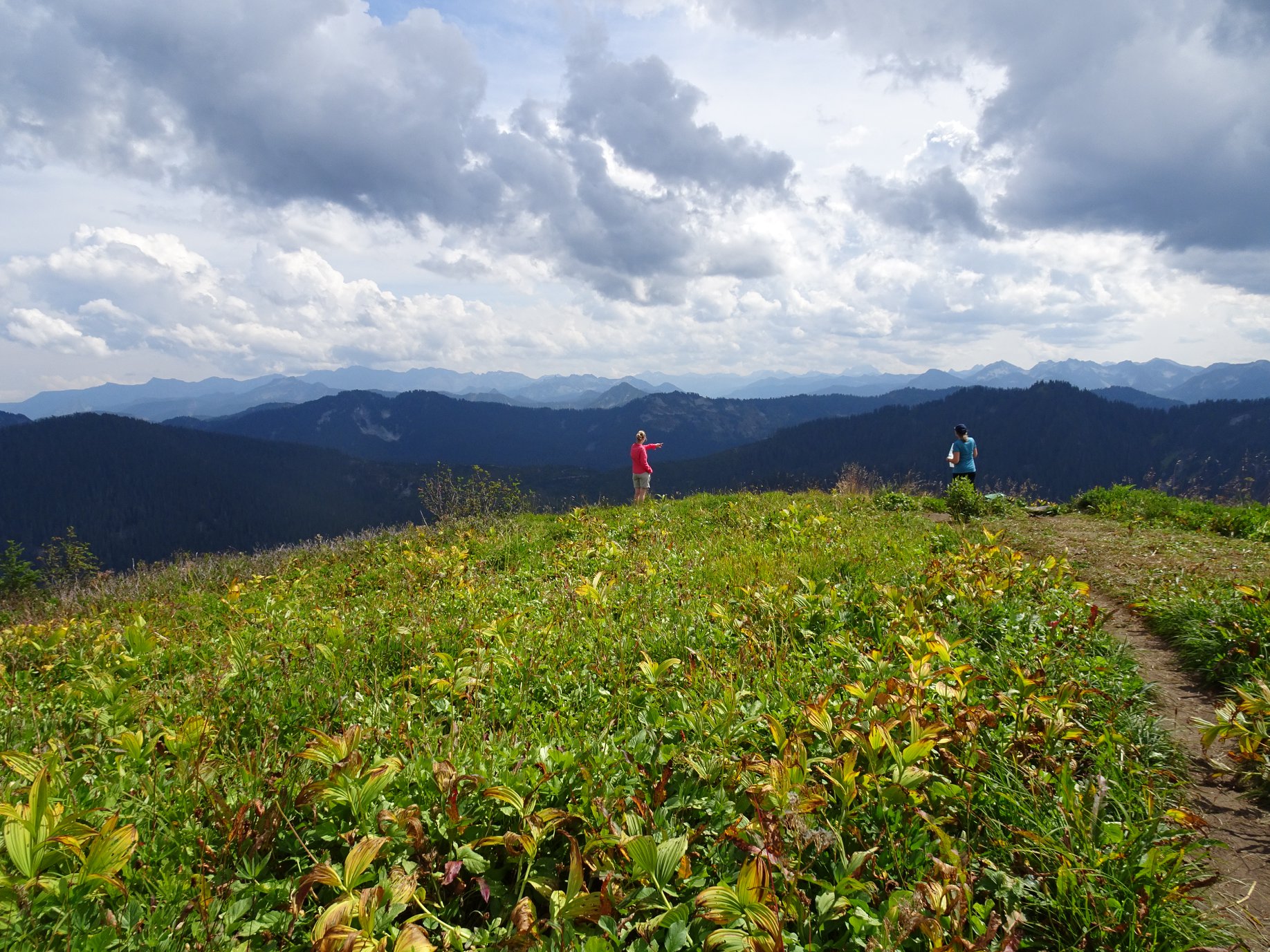 Scorpion Mountain via Johnson Ridge — Washington Trails Association