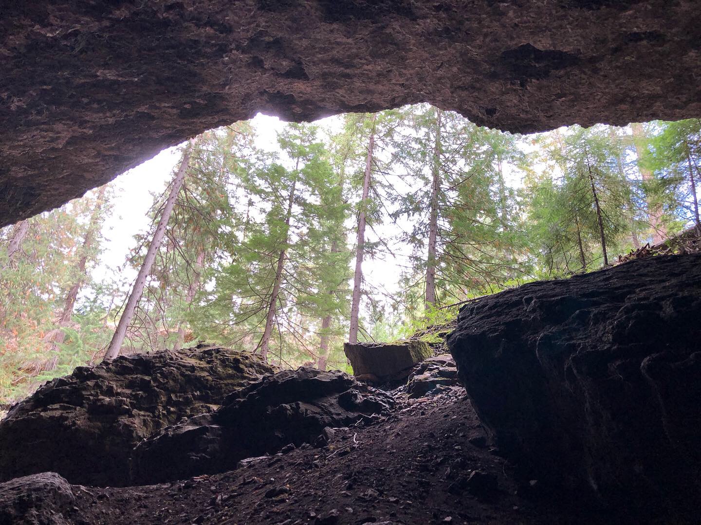 Boulder Cave — Washington Trails Association
