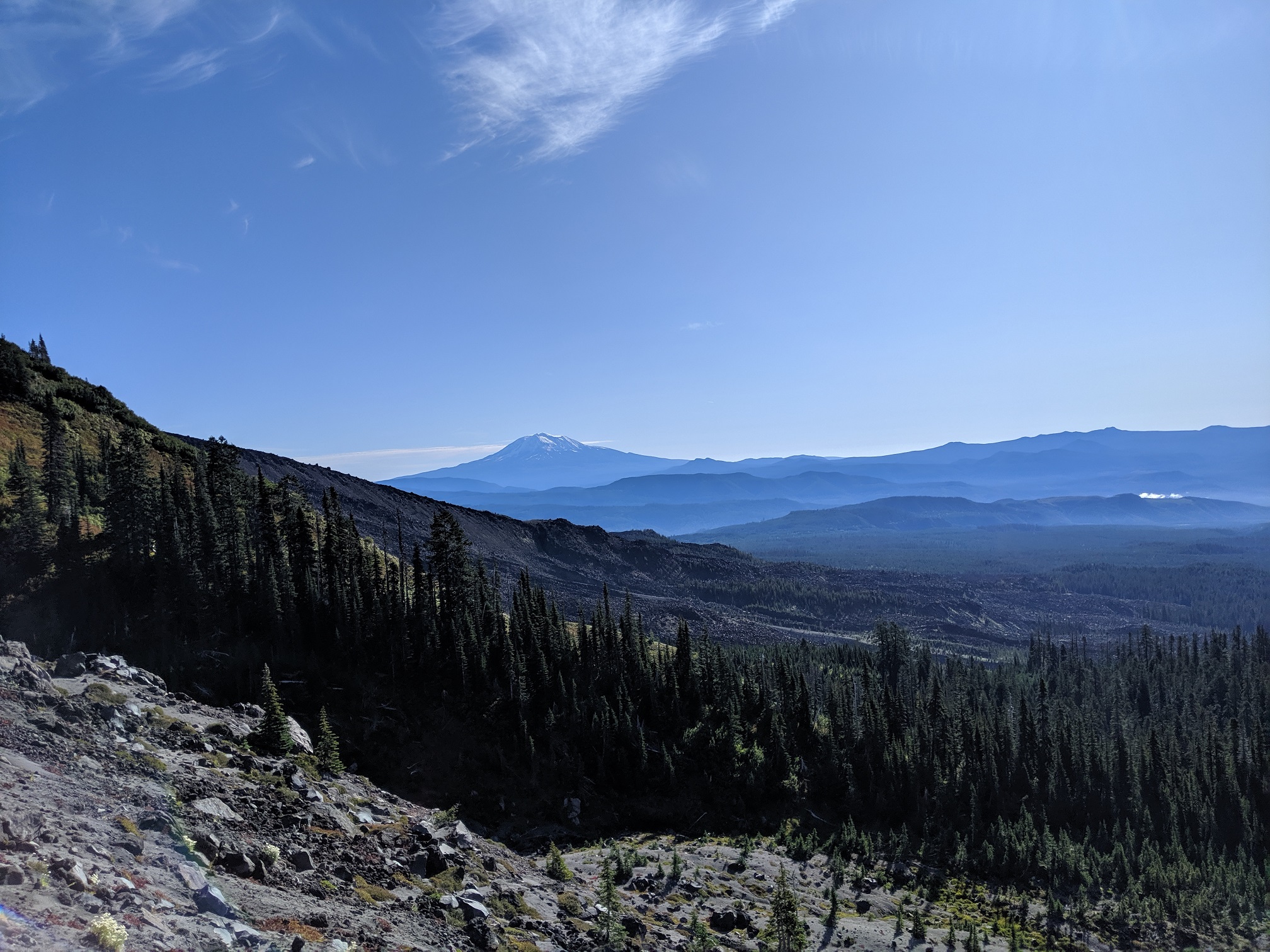 Mount St. Helens - Monitor Ridge — Washington Trails Association