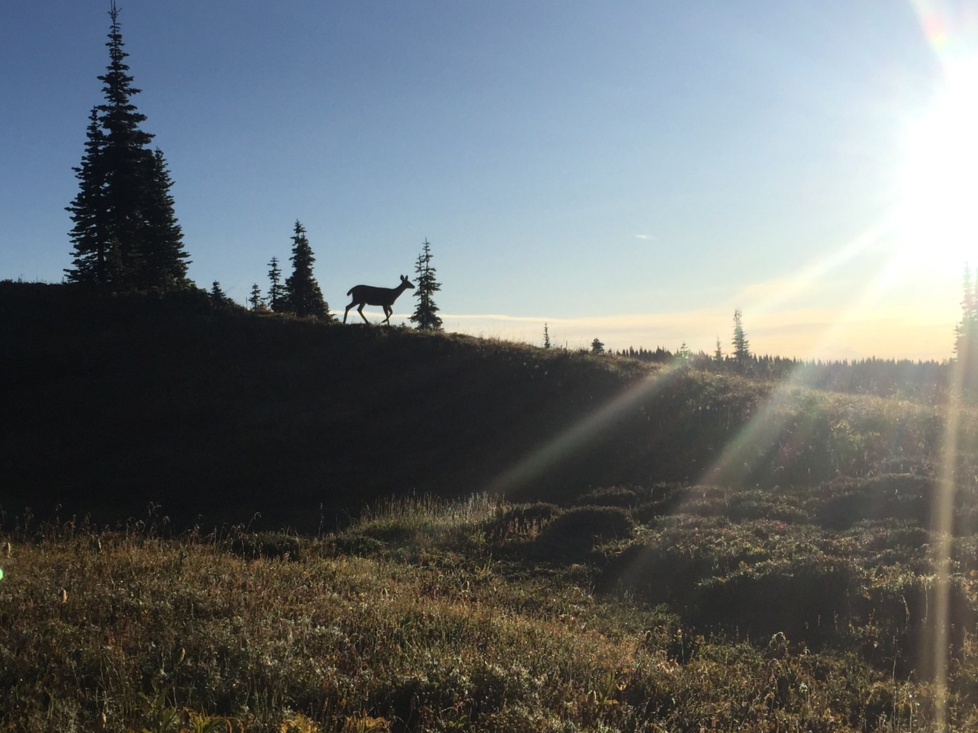 Cowlitz Rocks — Washington Trails Association