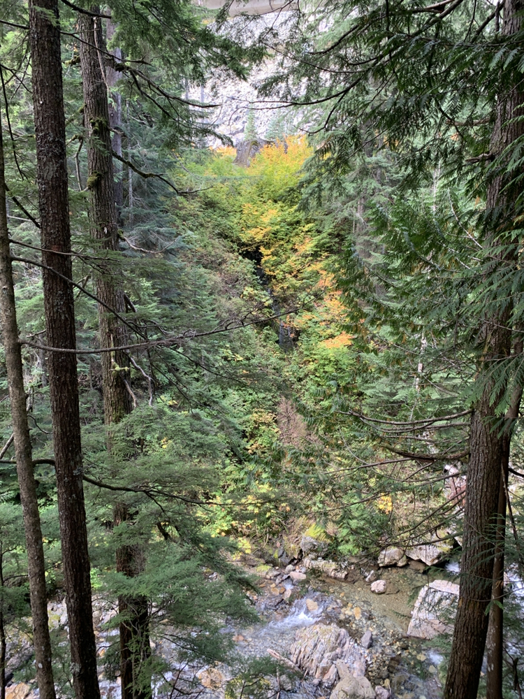 Franklin Falls — Washington Trails Association