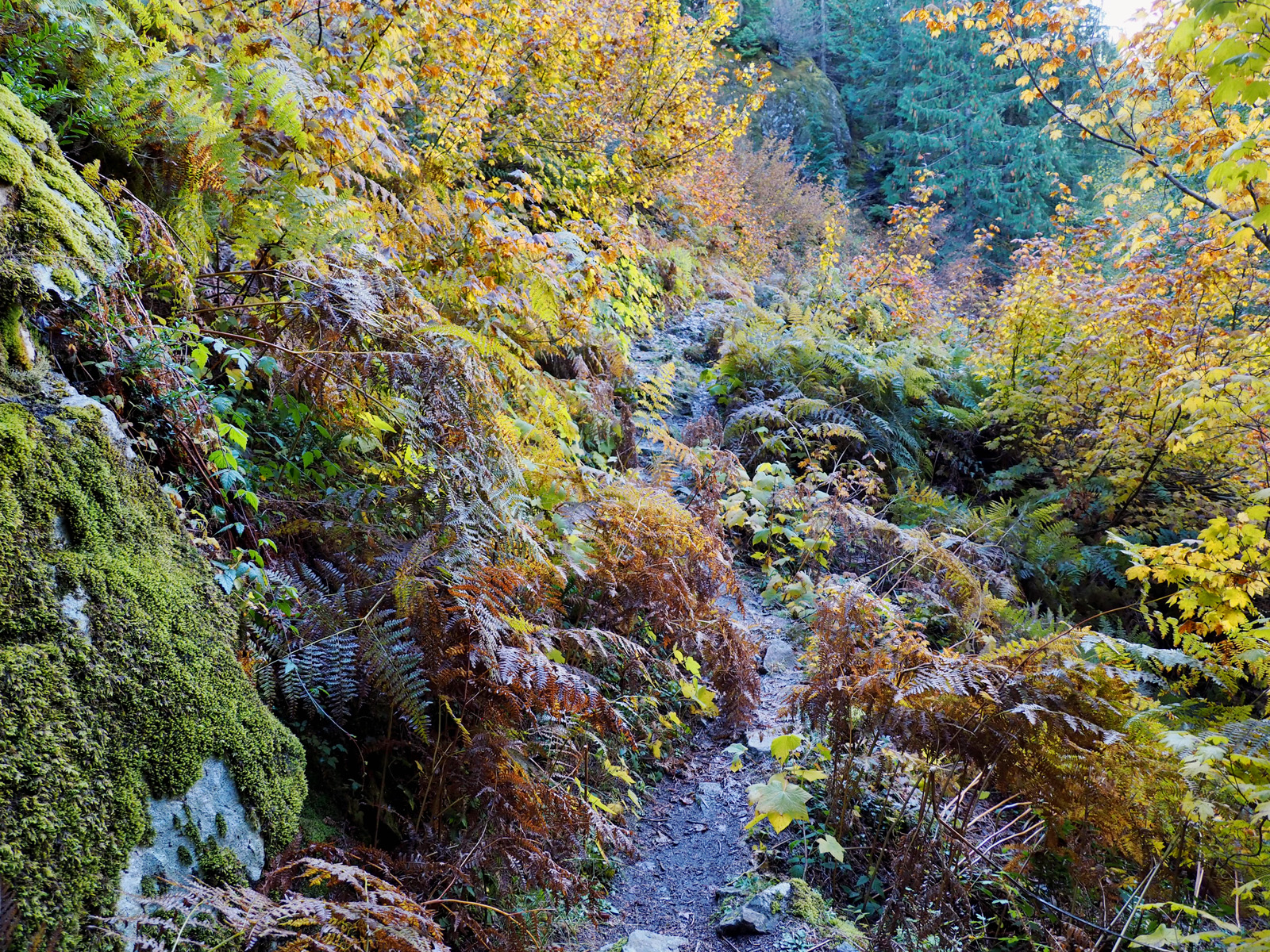 Barlow Point — Washington Trails Association