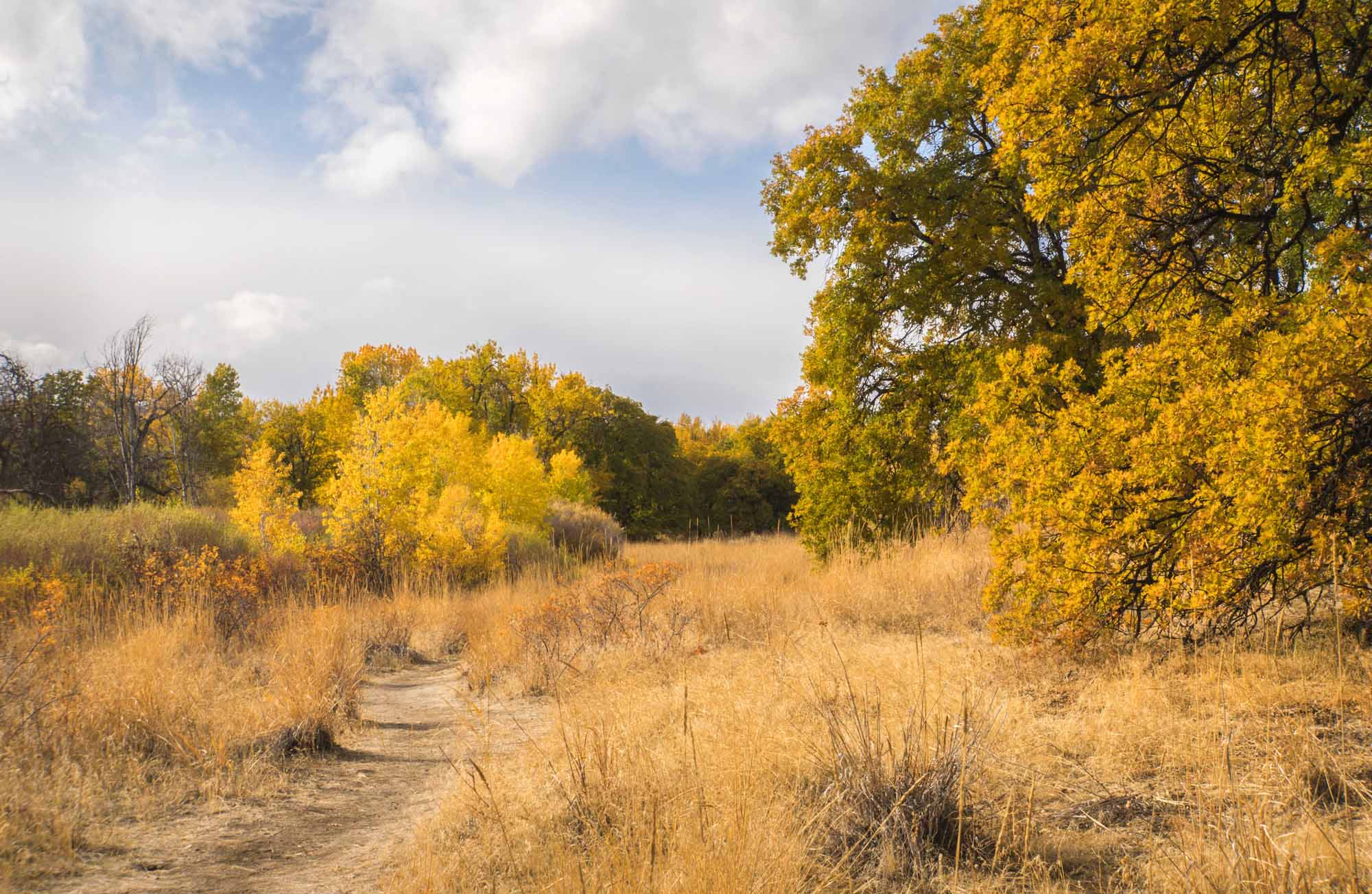 Cowiche Canyon, Snow Mountain Ranch — Washington Trails Association