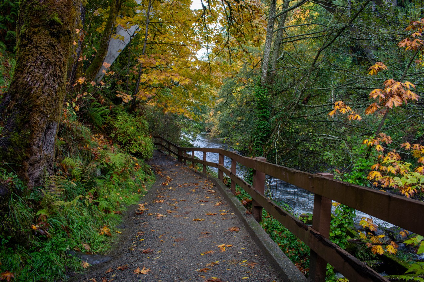 Tumwater Falls Park — Washington Trails Association