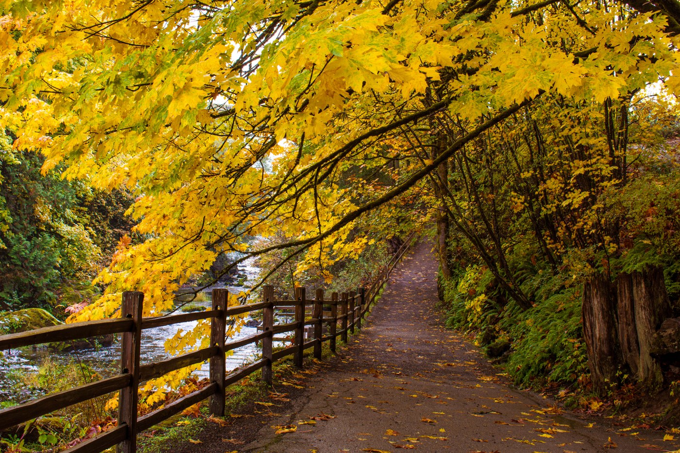Tumwater Falls Park — Washington Trails Association