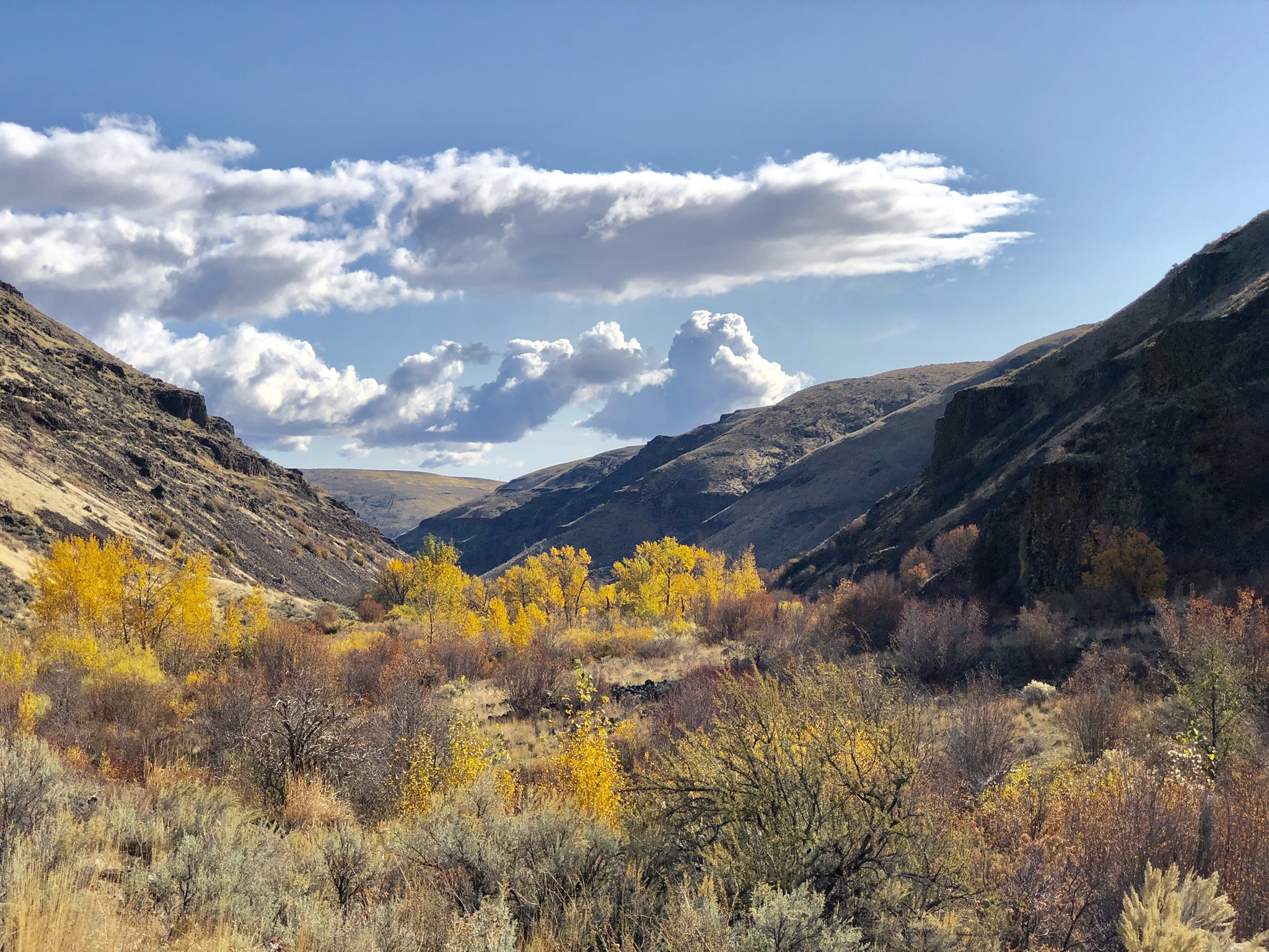 Umtanum Creek Canyon — Washington Trails Association