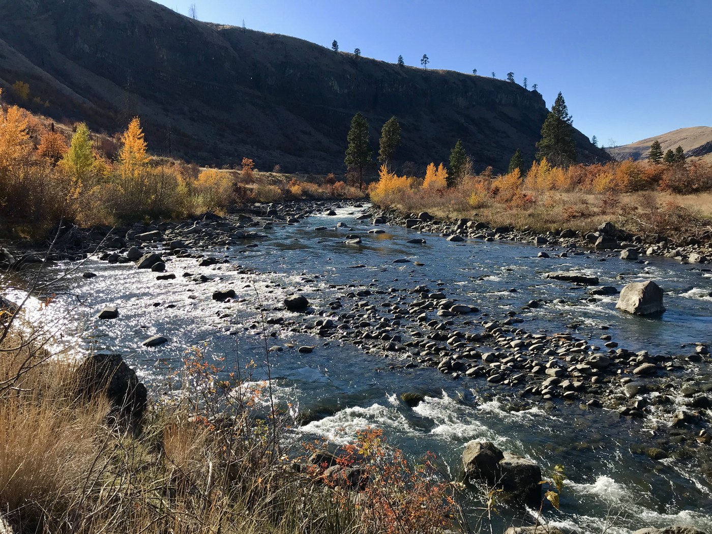 Tieton River Nature Trail — Washington Trails Association
