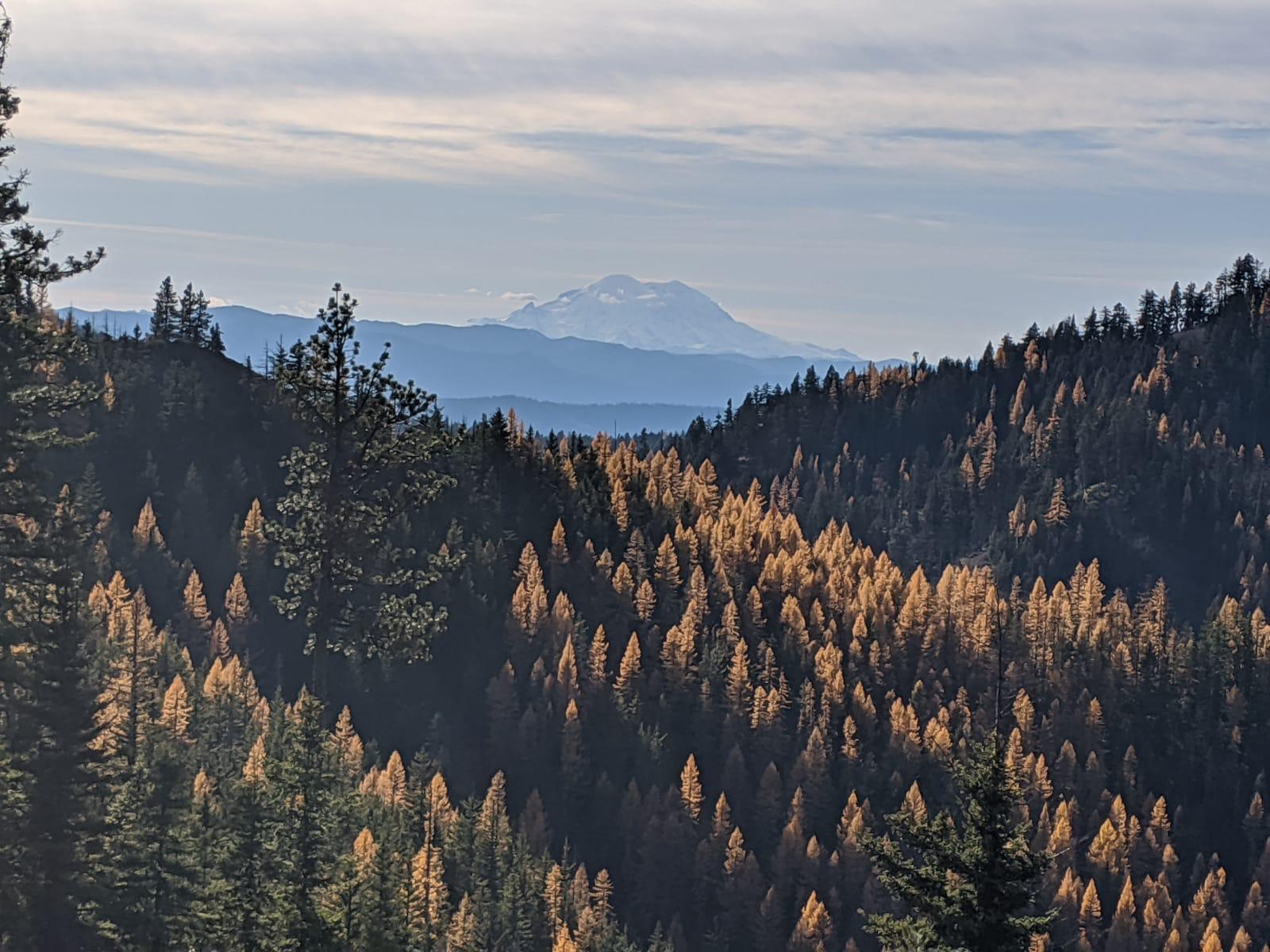 Iron Bear - Teanaway Ridge — Washington Trails Association