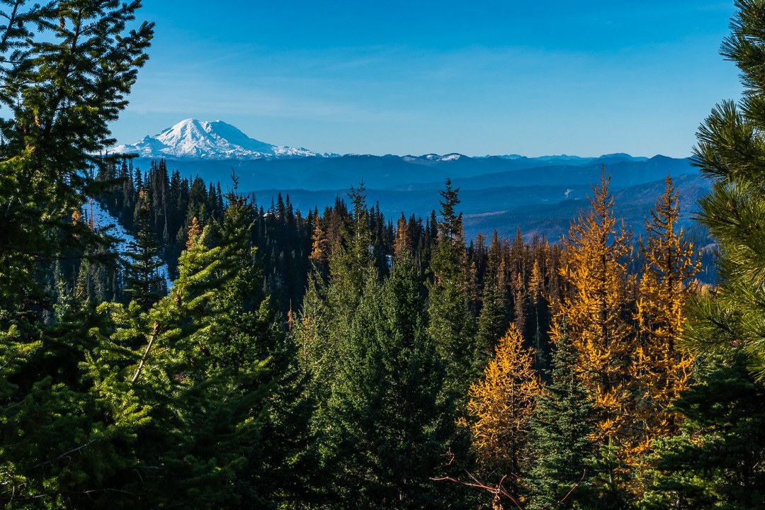 Iron Bear - Teanaway Ridge, Jester Mountain — Washington Trails Association