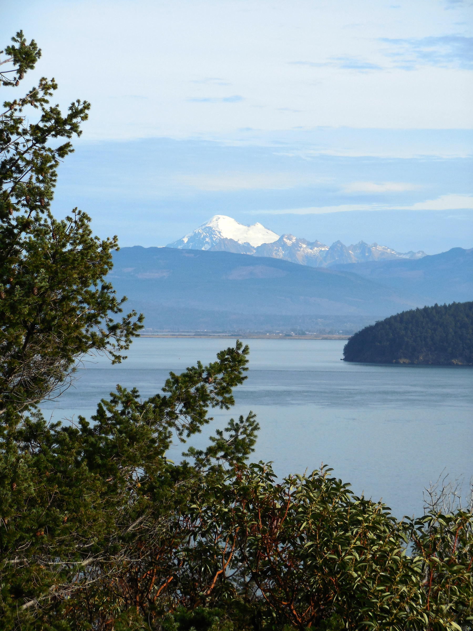 Cap Sante Park — Washington Trails Association