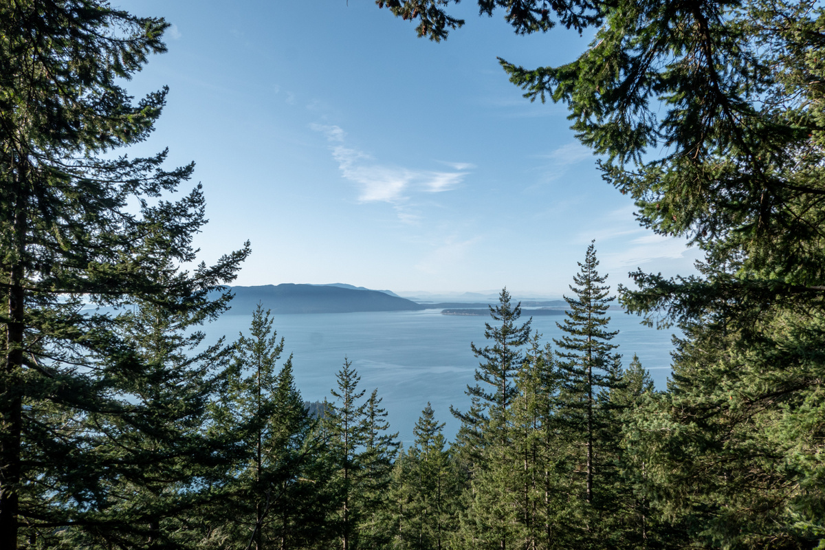 Chuckanut Ridge Trail — Washington Trails Association