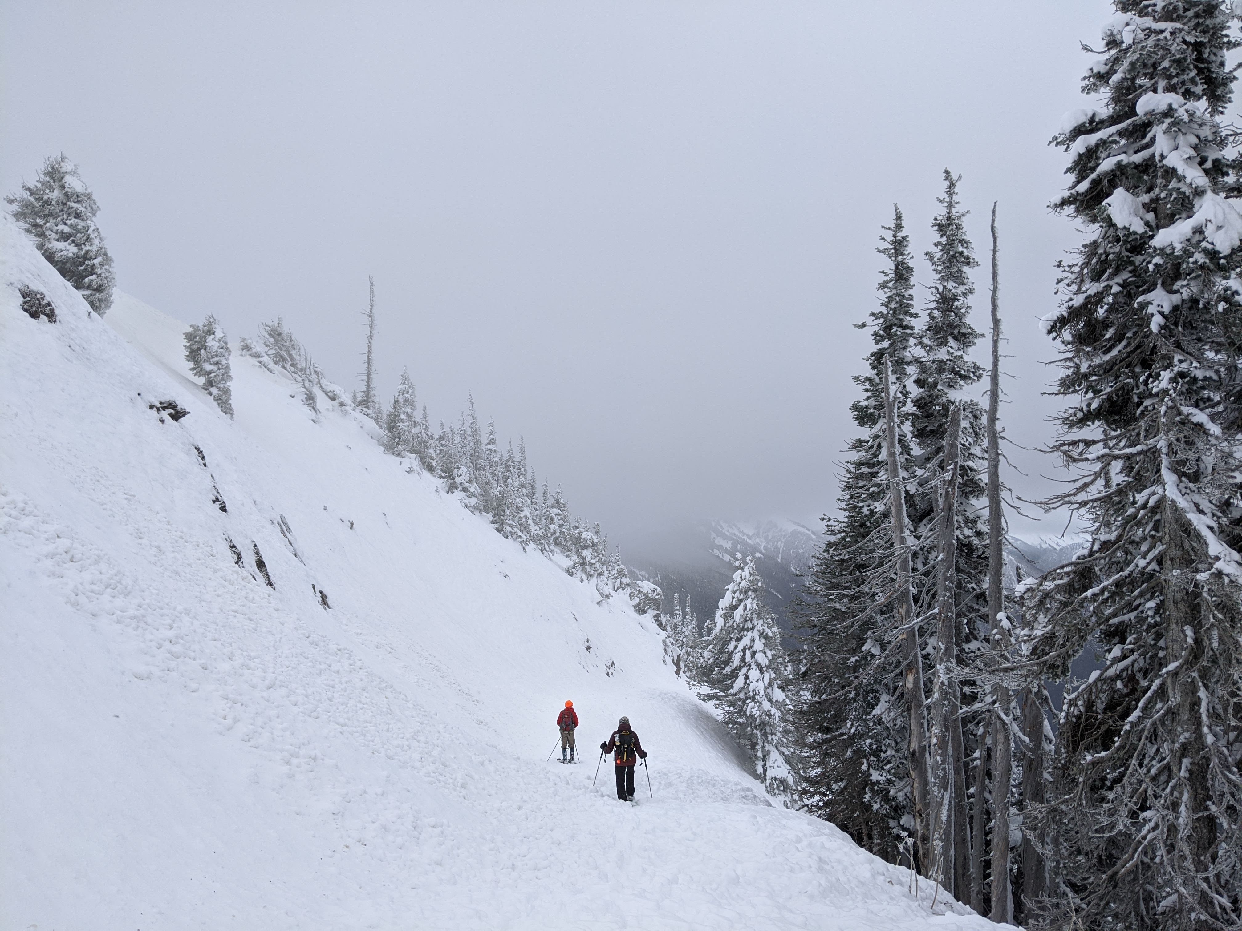 Obstruction Point Road Snowshoe — Washington Trails Association