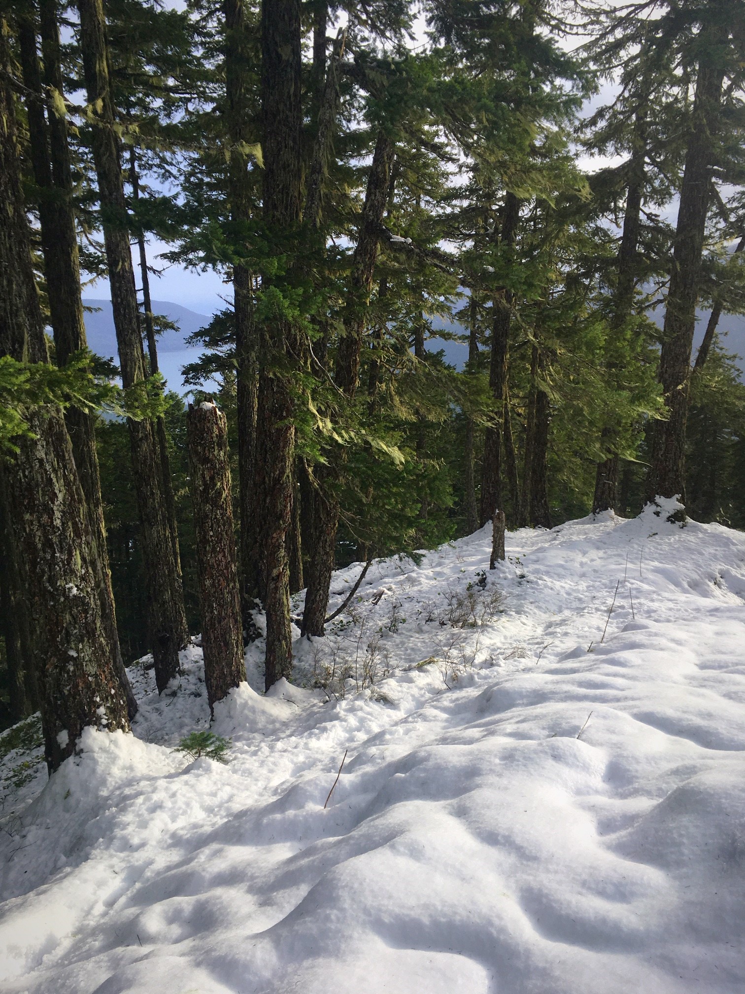 Mount Rose — Washington Trails Association