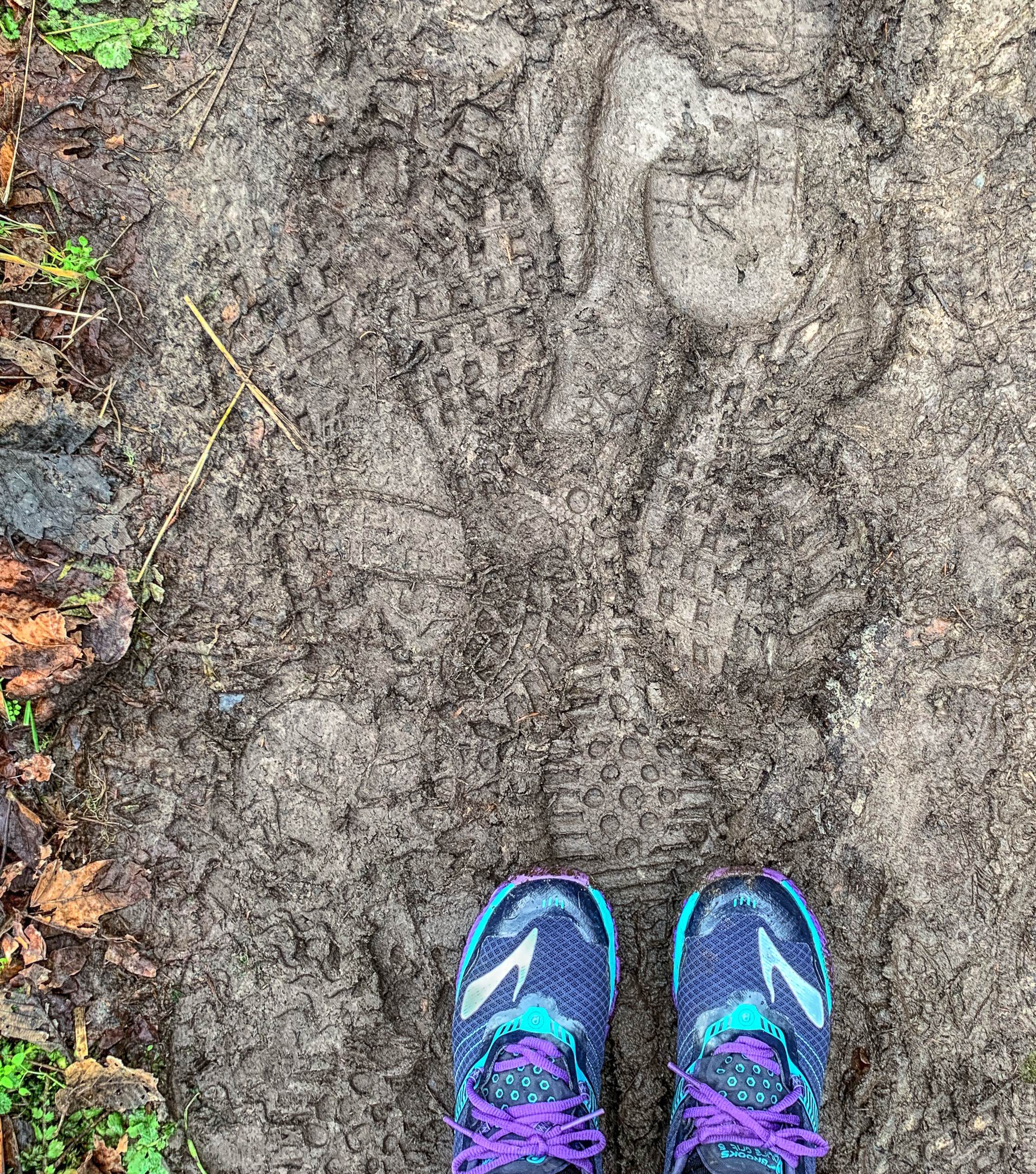 Puyallup Loop Trail — Washington Trails Association