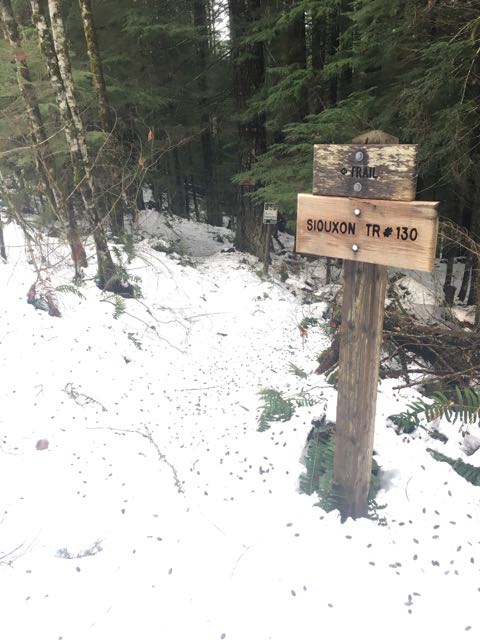 Siouxon Creek — Washington Trails Association