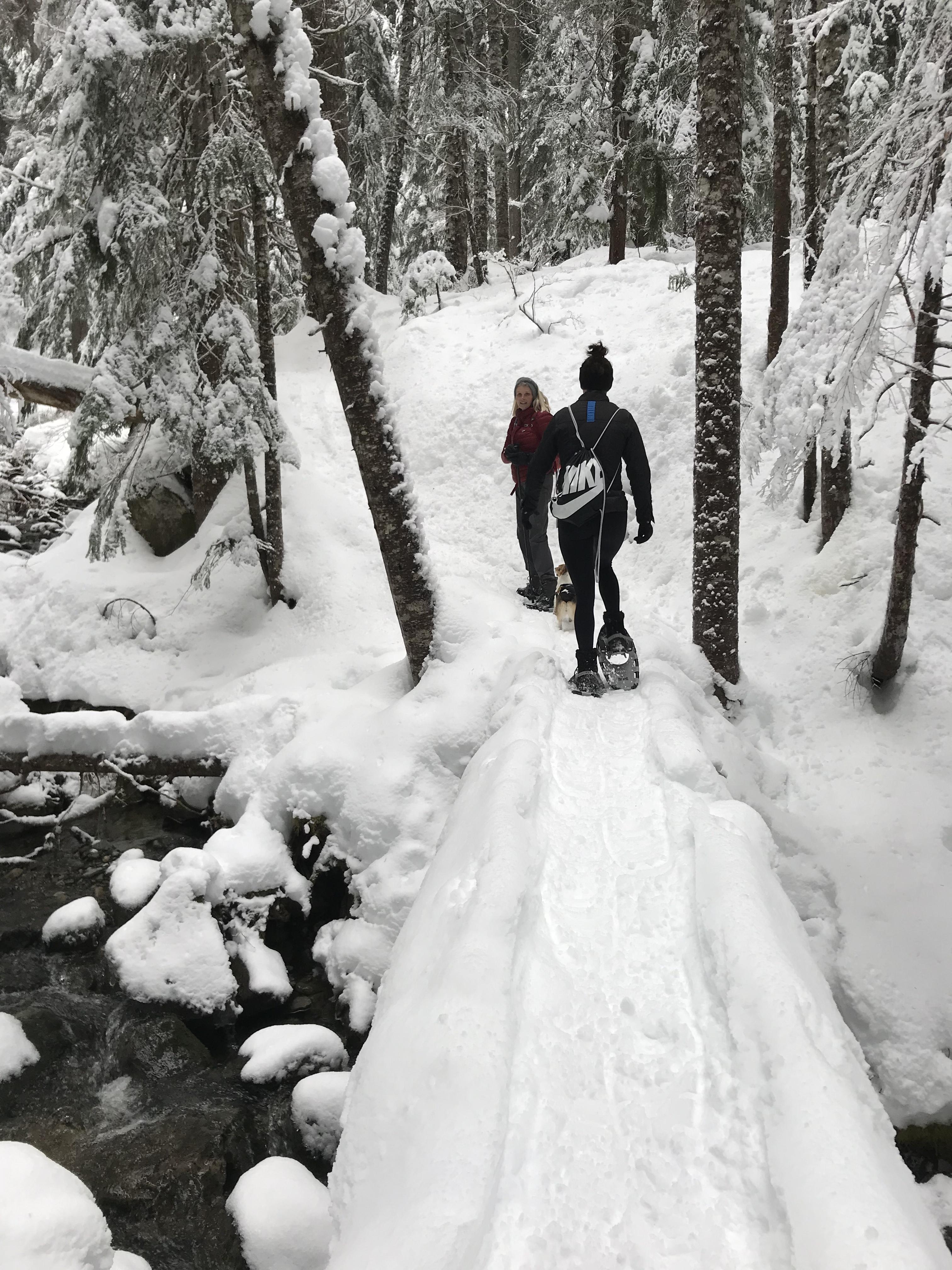 Nordic Pass - Hyak — Washington Trails Association