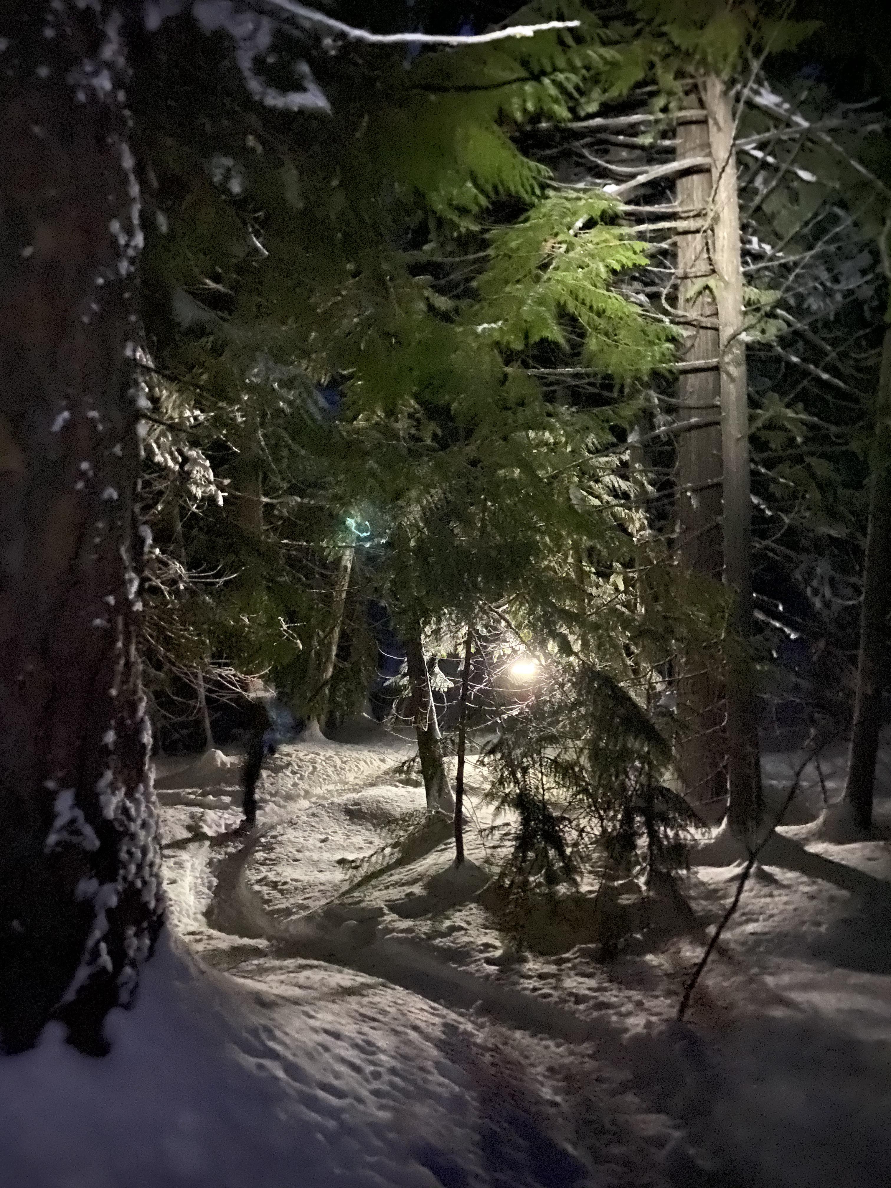 Beaver Loop — Washington Trails Association