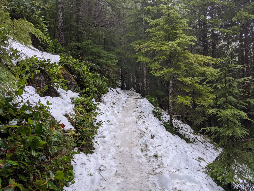Mount Si, Mount Si - Old Trail — Washington Trails Association