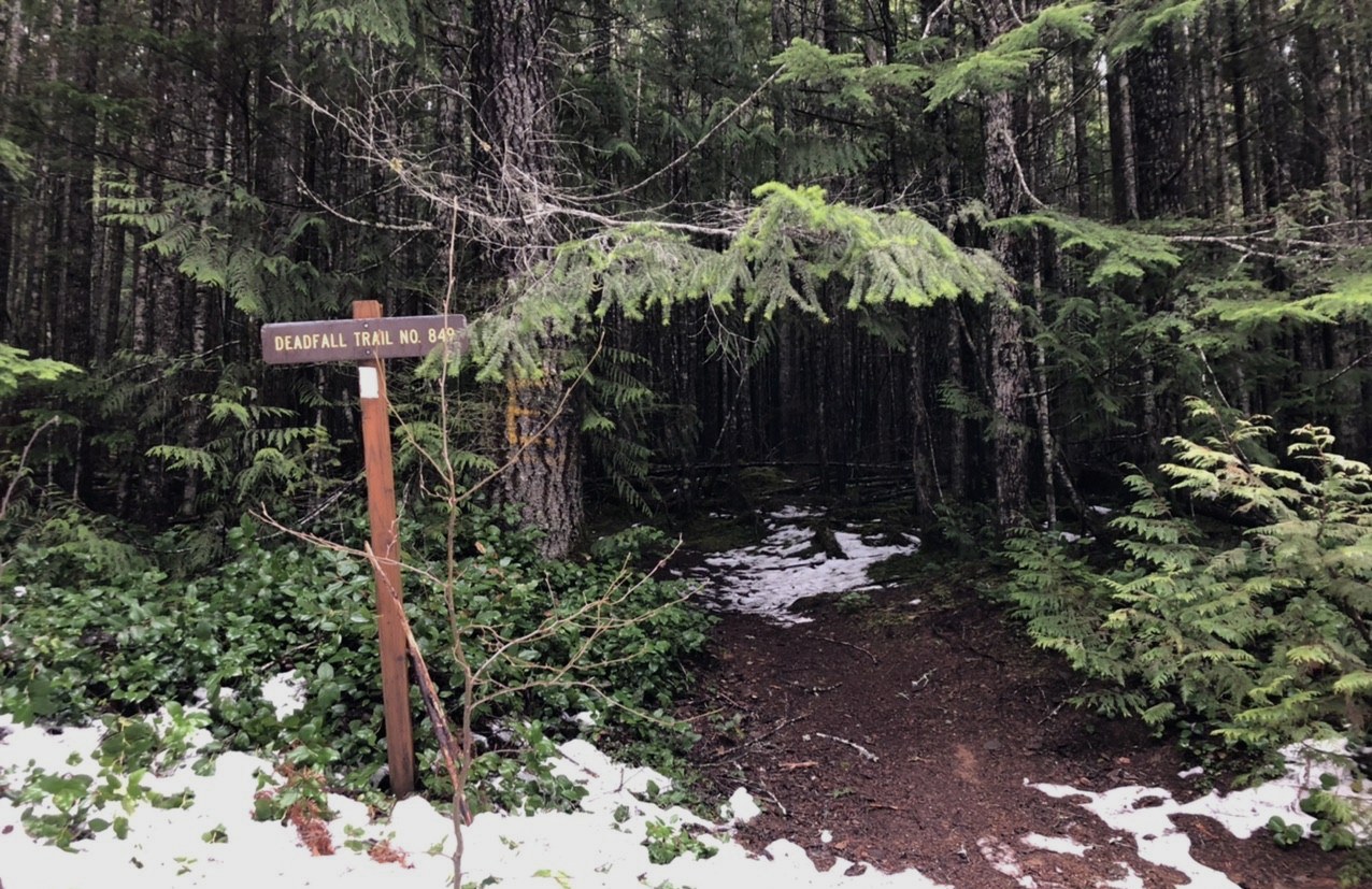 Deadfall, Snow Creek, Mount Zion — Washington Trails Association