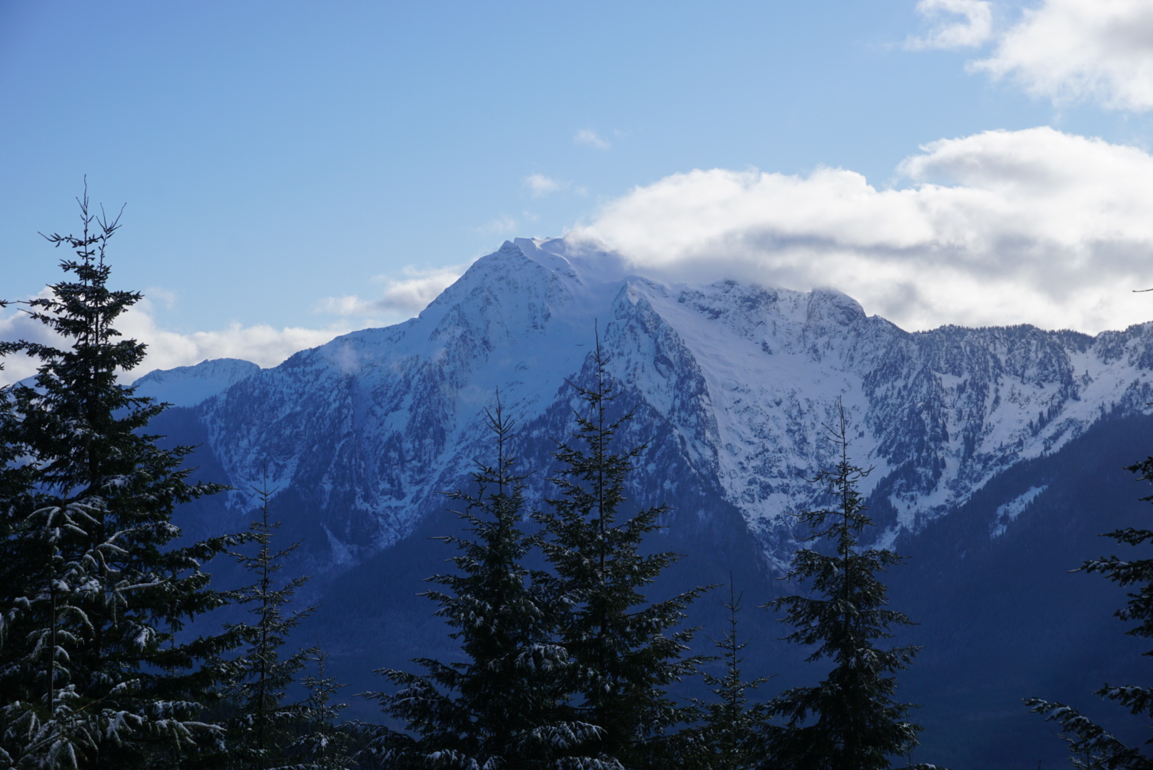 Segelsen Ridge Snowshoe — Washington Trails Association