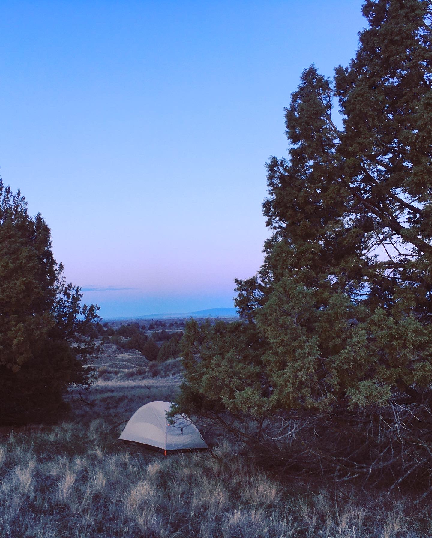 Juniper Dunes Wilderness — Washington Trails Association