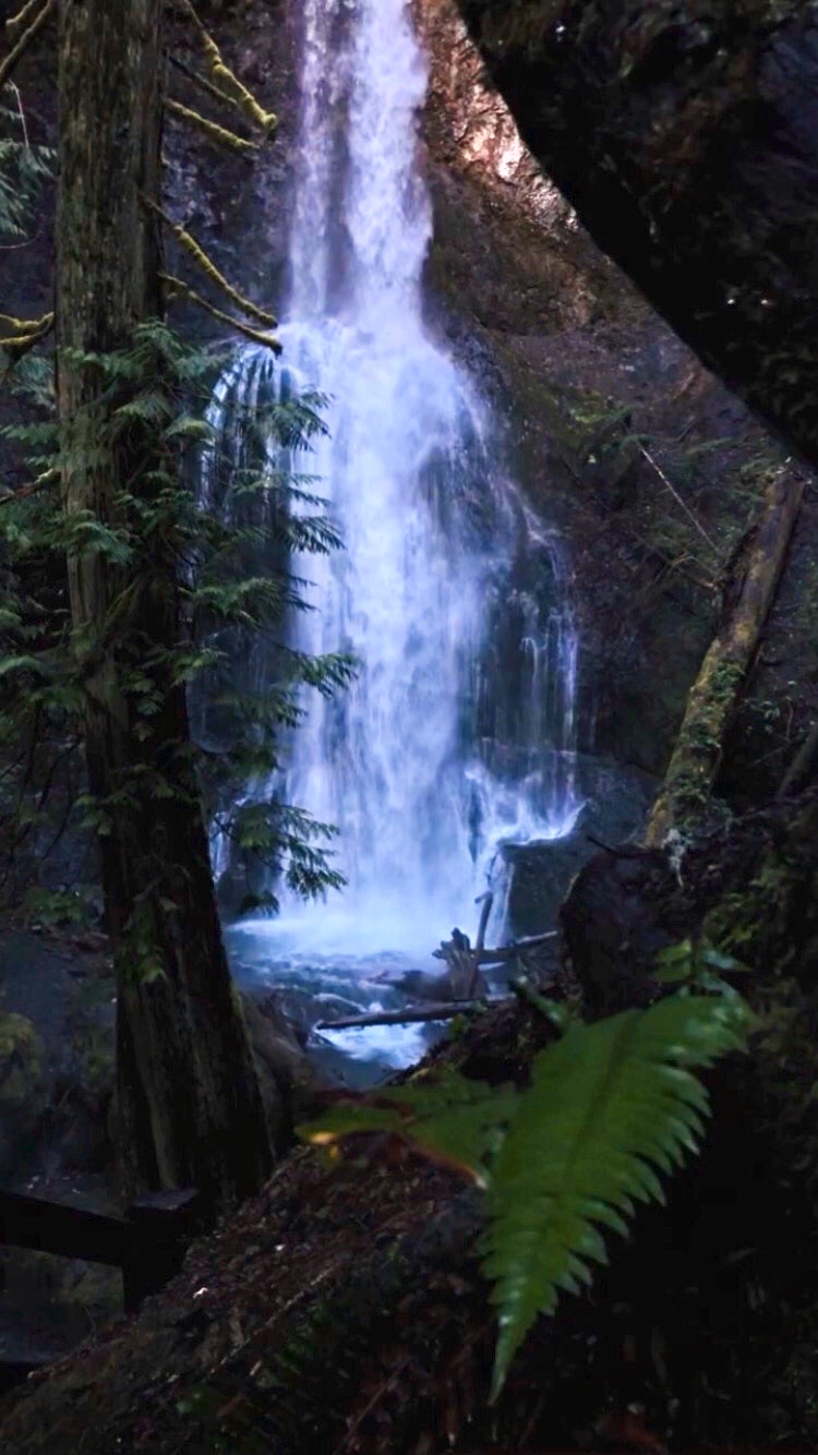 Marymere Falls — Washington Trails Association