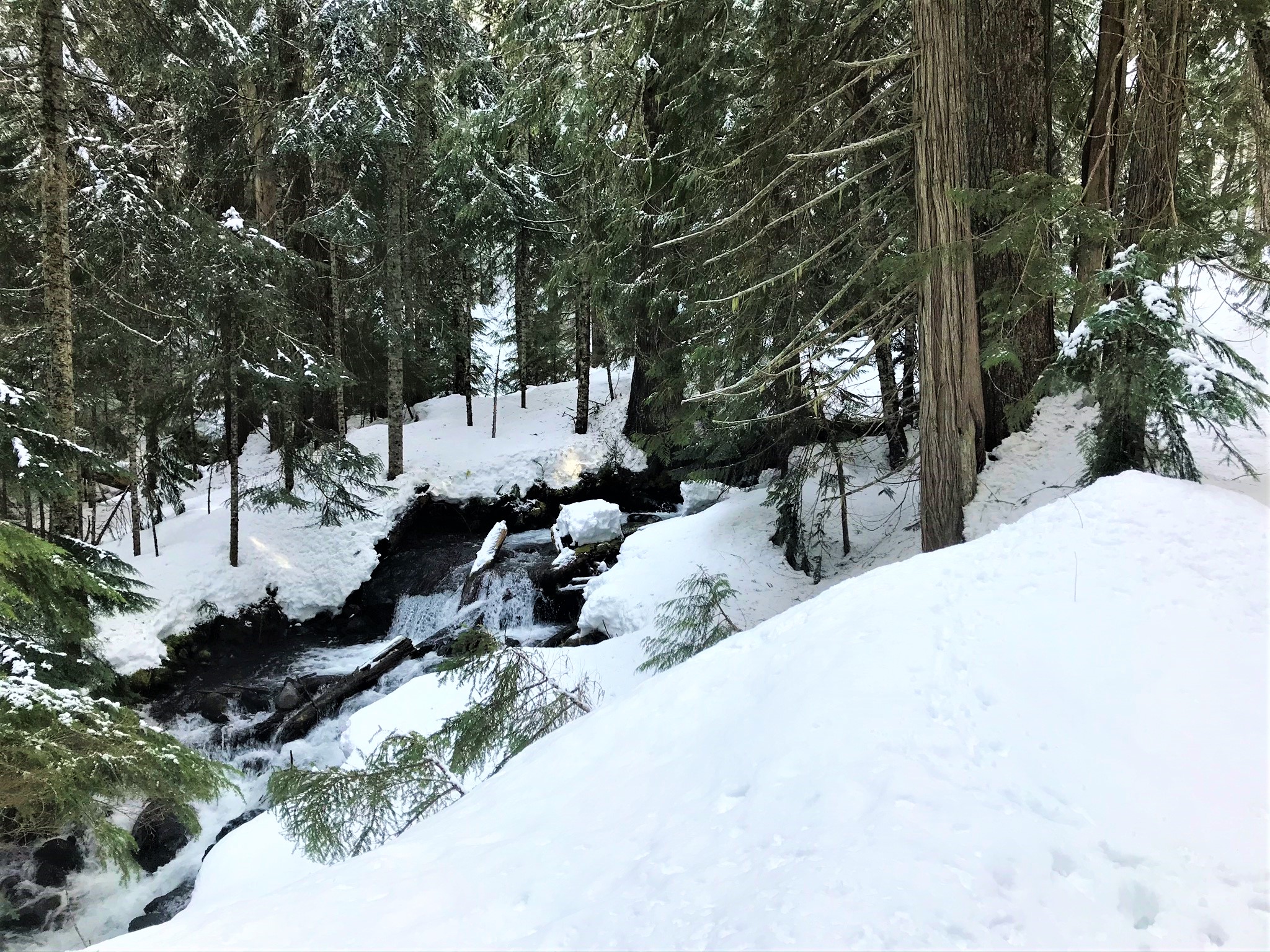 Lanham Lake Snowshoe — Washington Trails Association