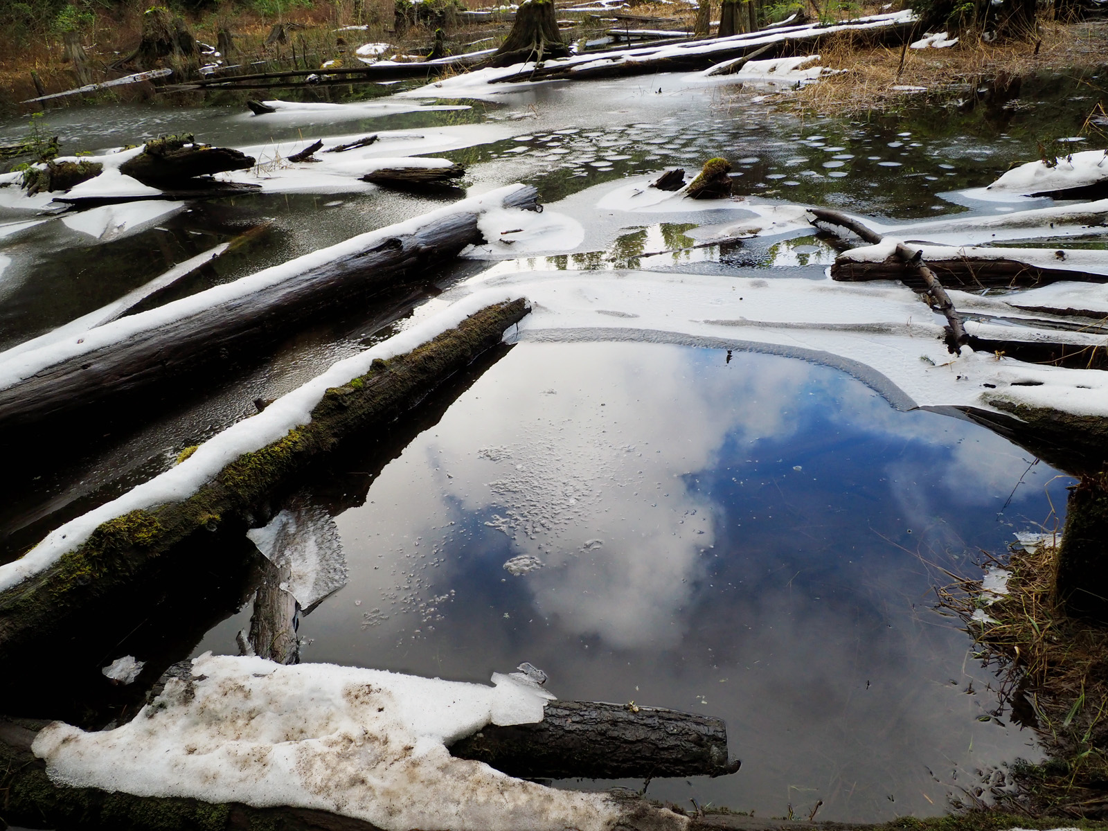 Lily and Lizard Lake Loop, North Butte — Washington Trails Association