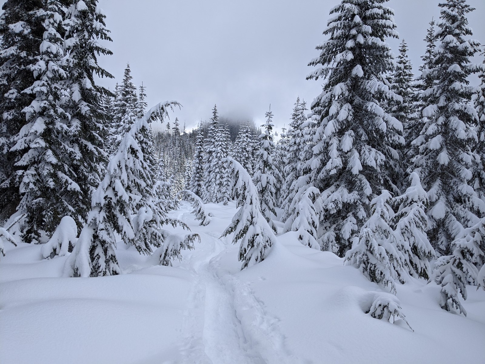 Kendall Peak Lakes Snowshoe — Washington Trails Association