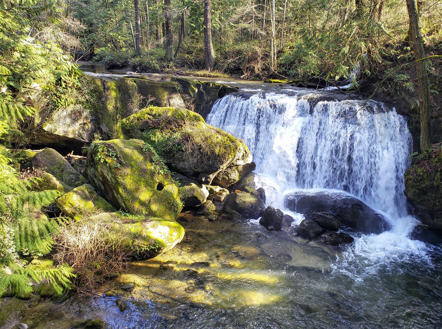 Whatcom Falls Park — Washington Trails Association
