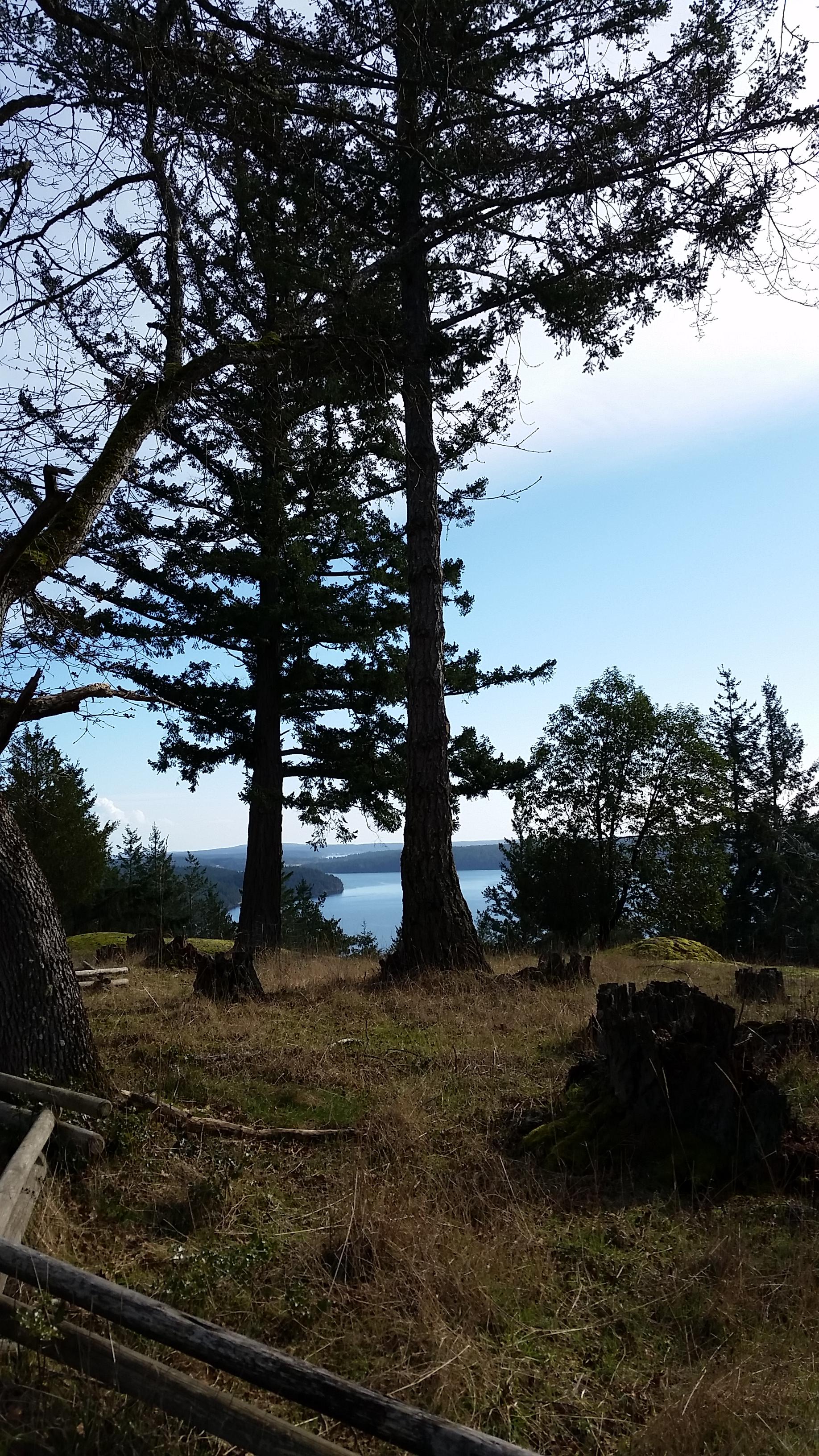 Turtleback Mountain Preserve: Ship Peak Loop — Washington Trails ...