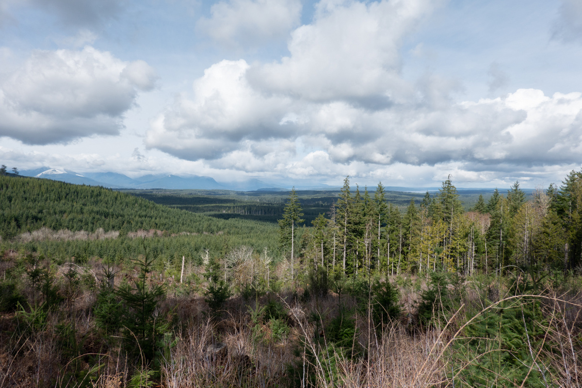 Ueland Tree Farm — Washington Trails Association