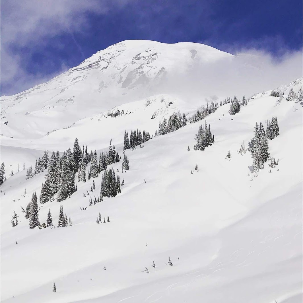 Mazama Ridge Snowshoe — Washington Trails Association